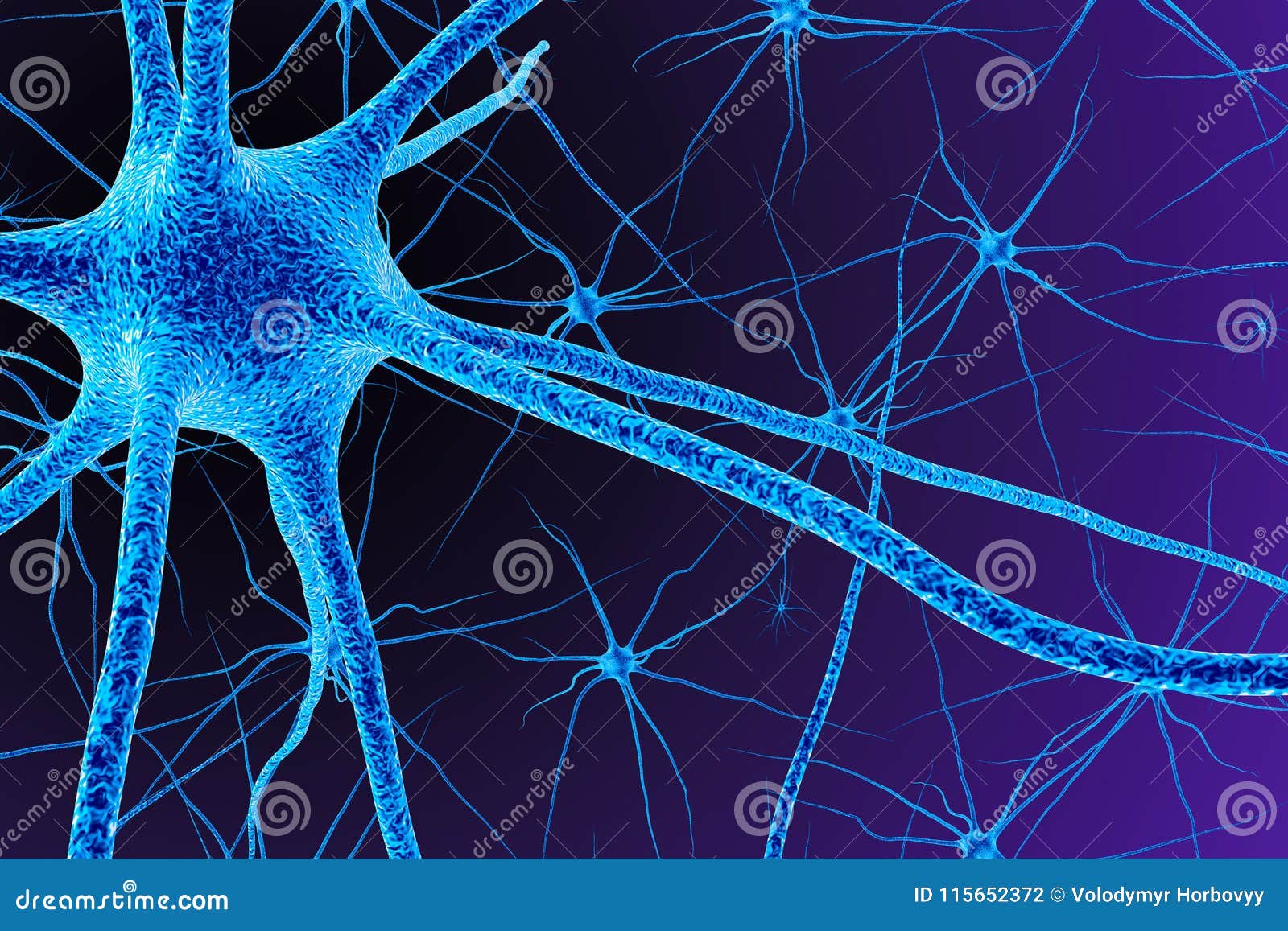 Brain Cell Stock Photo | CartoonDealer.com #33825606