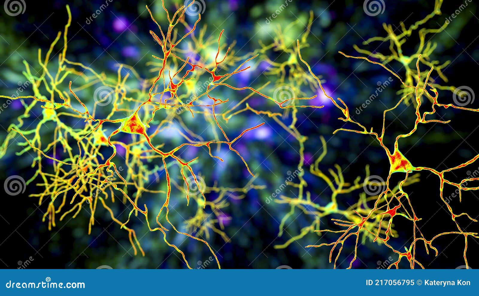 Neurons, Brain Cells Located in Amygdala, 3D Illustration Stock ... Neurons, Brain Cells Located in Amygdala, 3D Illustration Stock ...