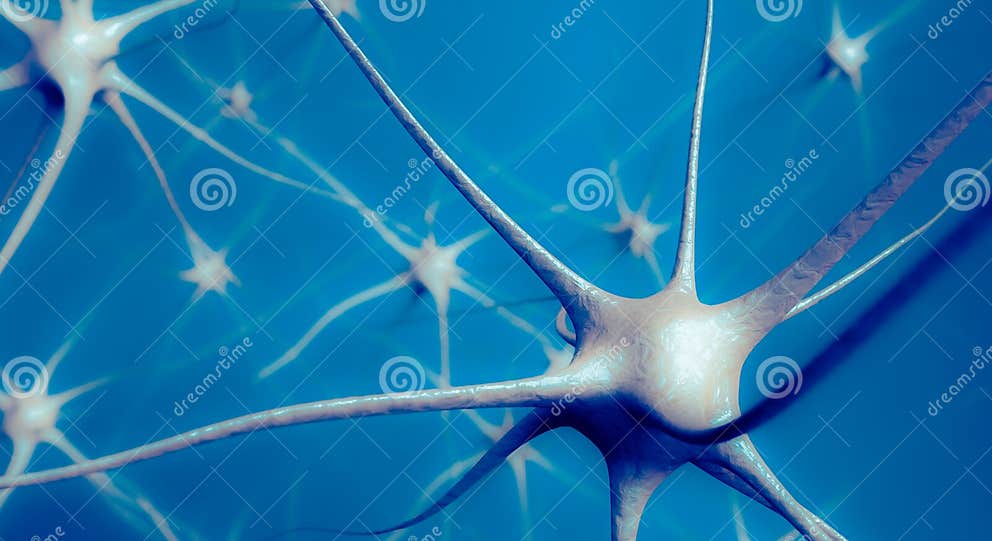 Neurons in Brain, 3D Illustration of Neural Network Stock Photo - Image ...