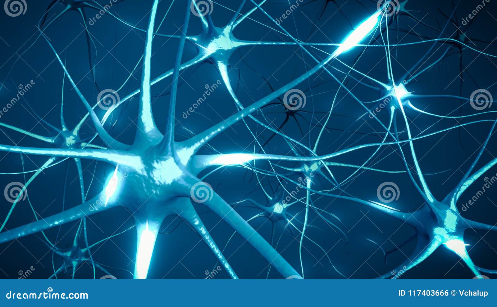 Neurons in Brain. Loop. 3D Animation of Neural Network Stock Footage ...