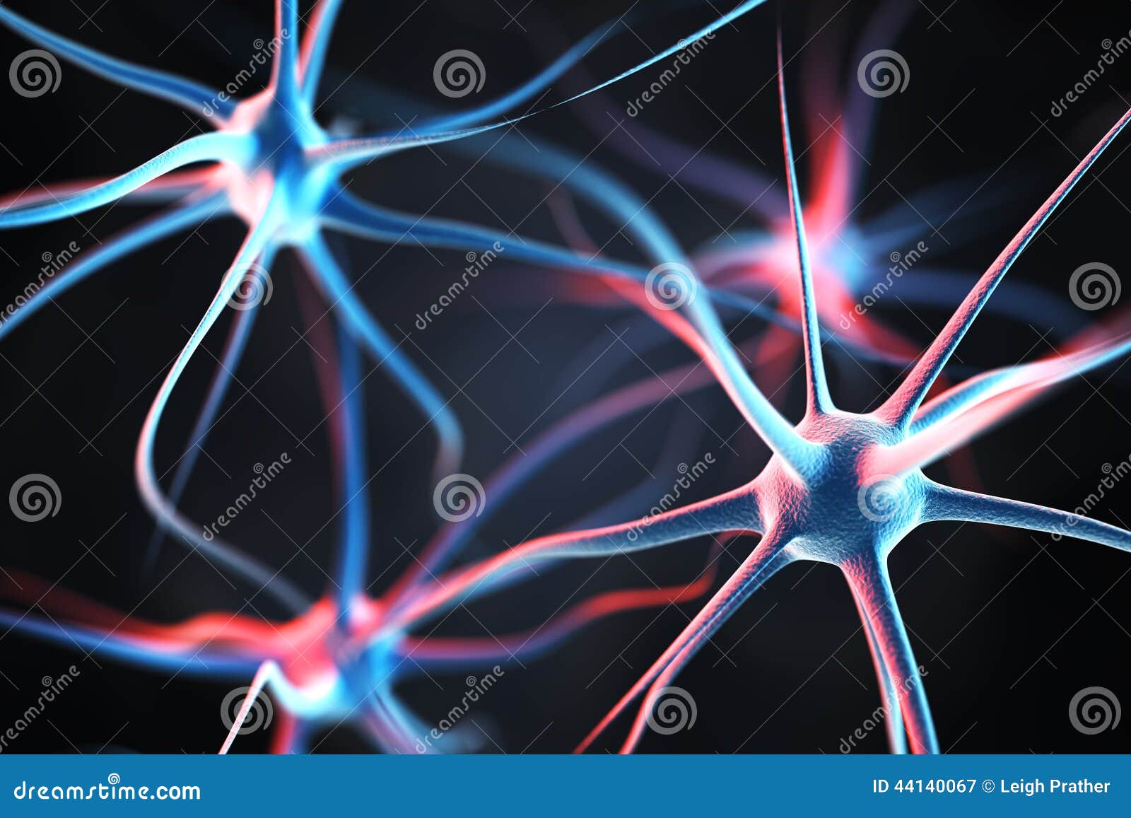 Neurons in the brain stock illustration. Illustration of cells - 44140067