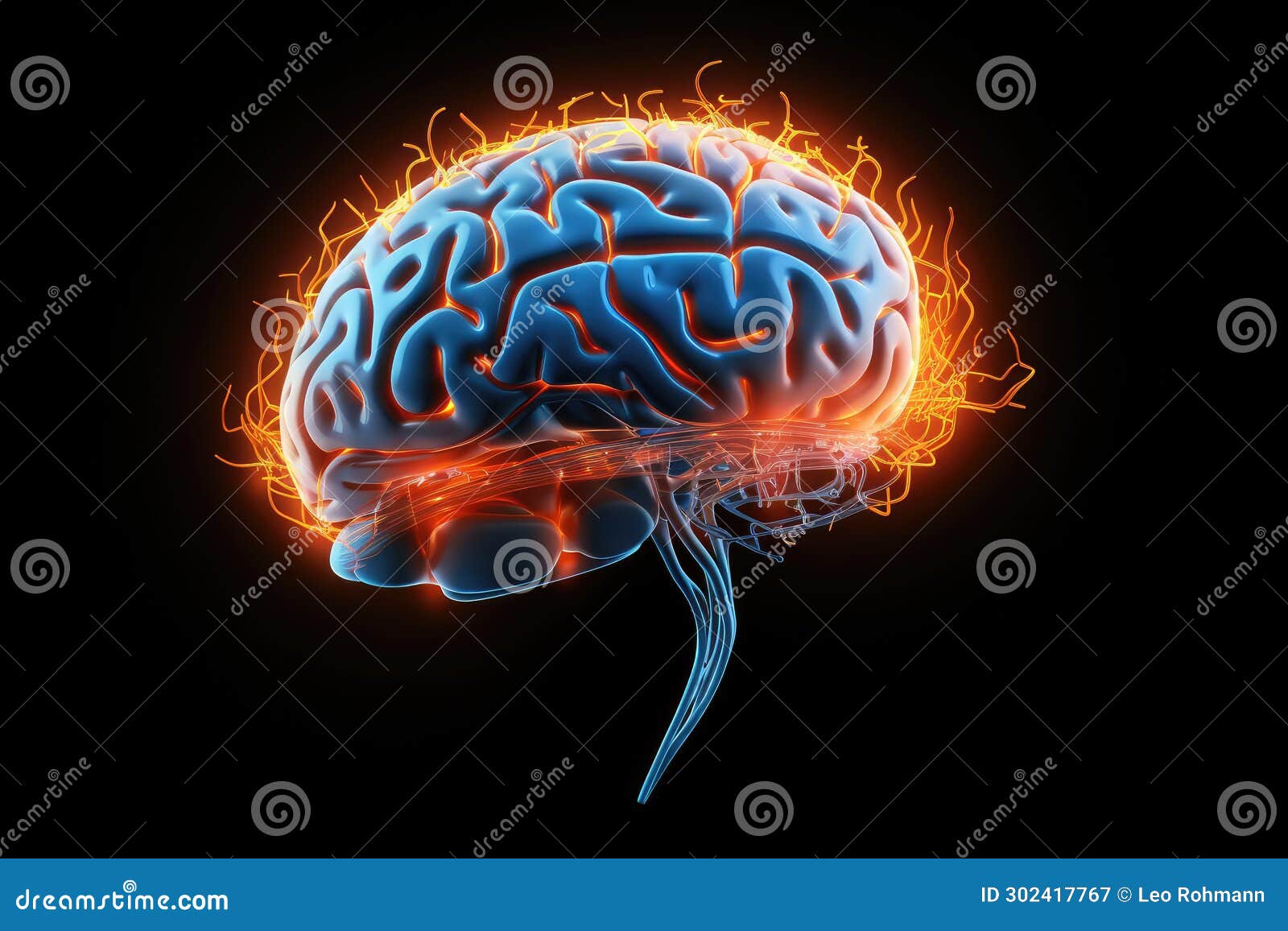 Neurons in Brain, Neural Networks Process Information, Relying Synapses ...