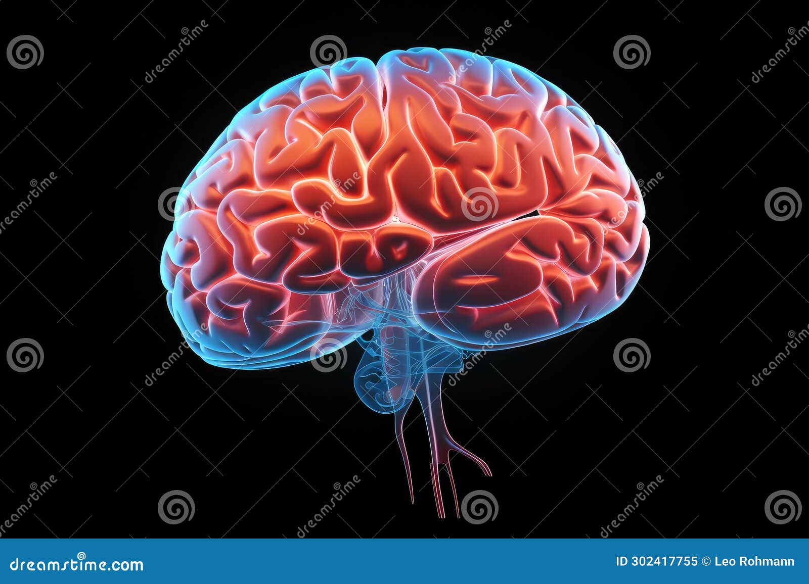 Neurons in Brain, Neural Networks Process Information, Relying Synapses ...