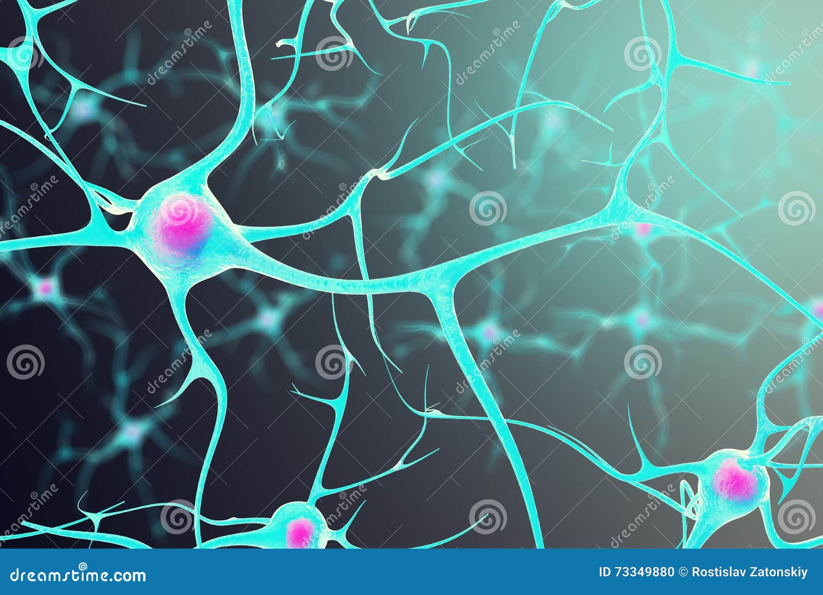 Neurons In The Brain With A Nucleus Inside On Black Background. 3d ...