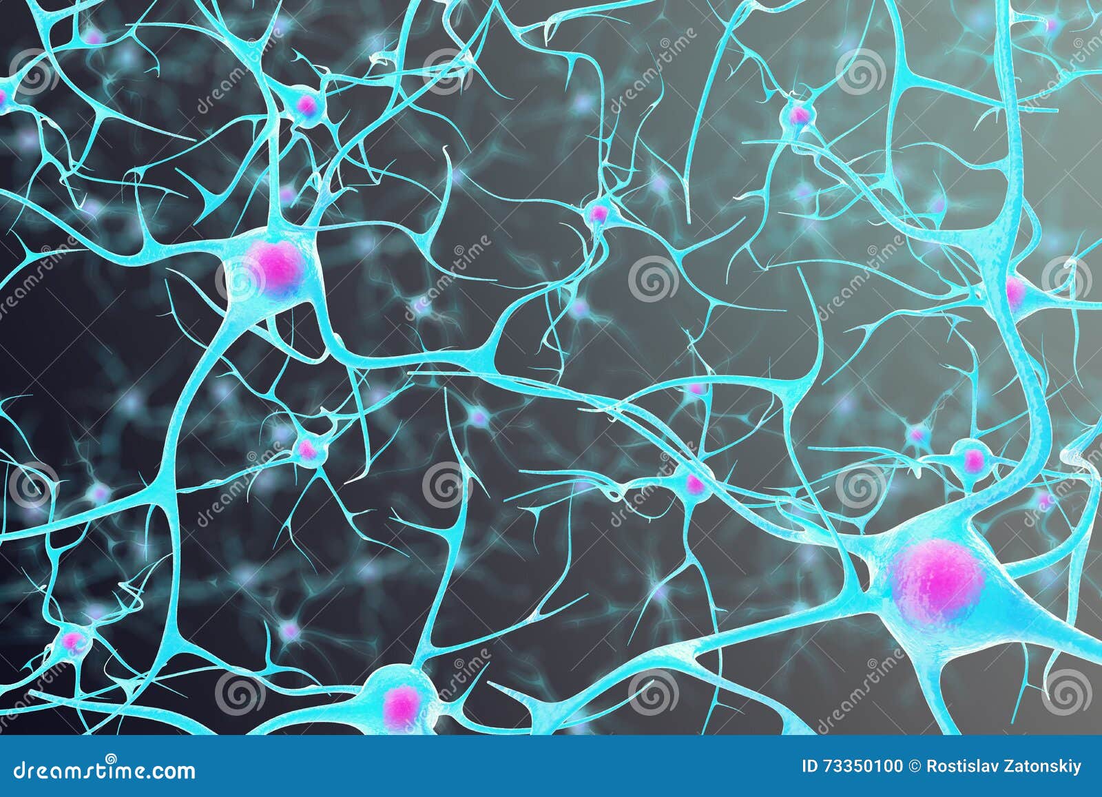 Neurons in the Brain with a Nucleus Inside on Black Background. 3d ...