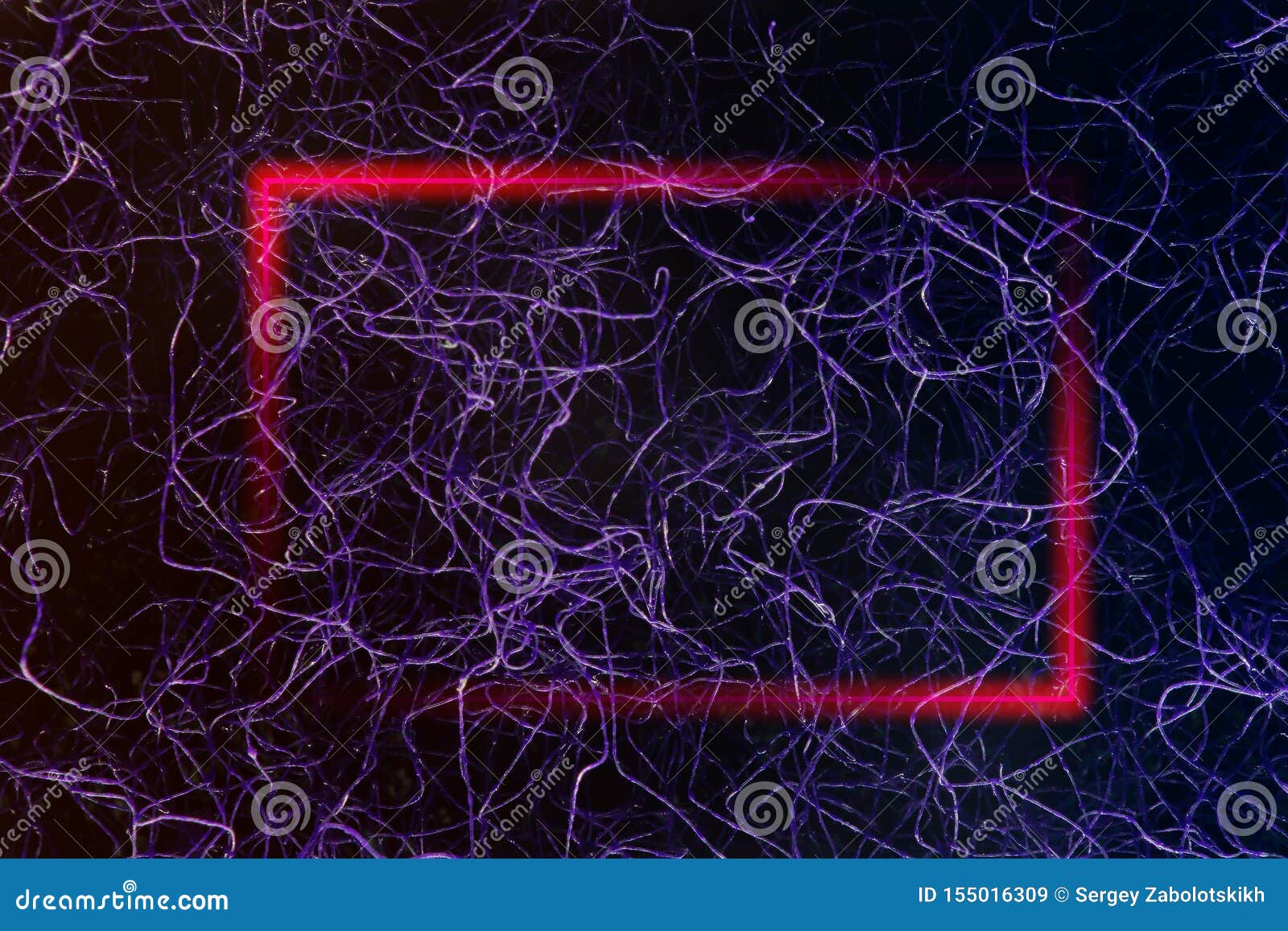 Neurons in the Brain Under a Microscope Stock Illustration ...