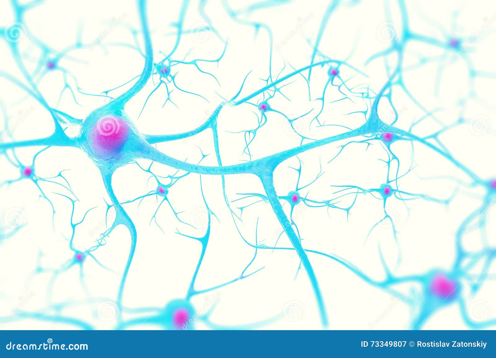 Neurons in the Brain on White Background with Focus Effect. 3d ...