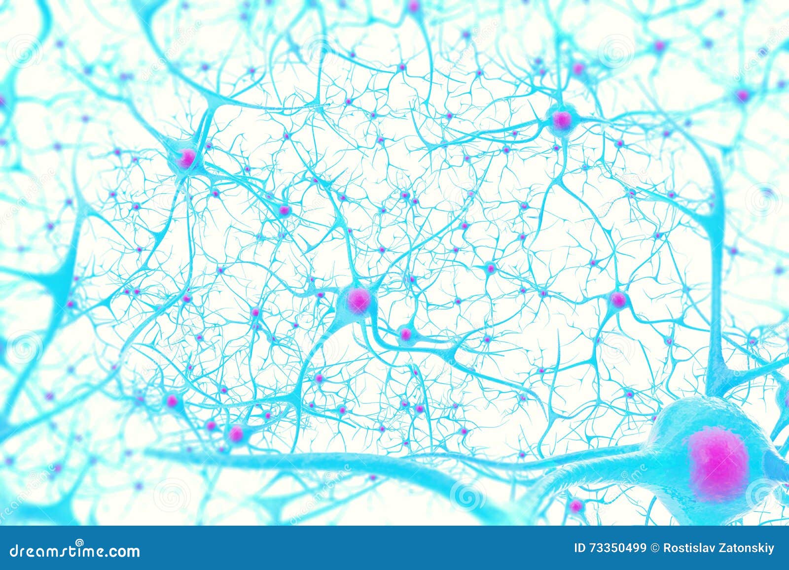 Neurons in the Brain on White Background with Focus Effect. 3d ...