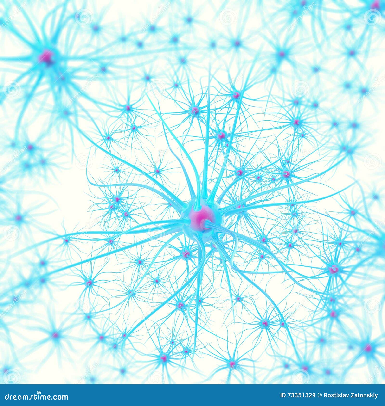Neurons in the Brain on White Background with Focus Effect. 3d ...