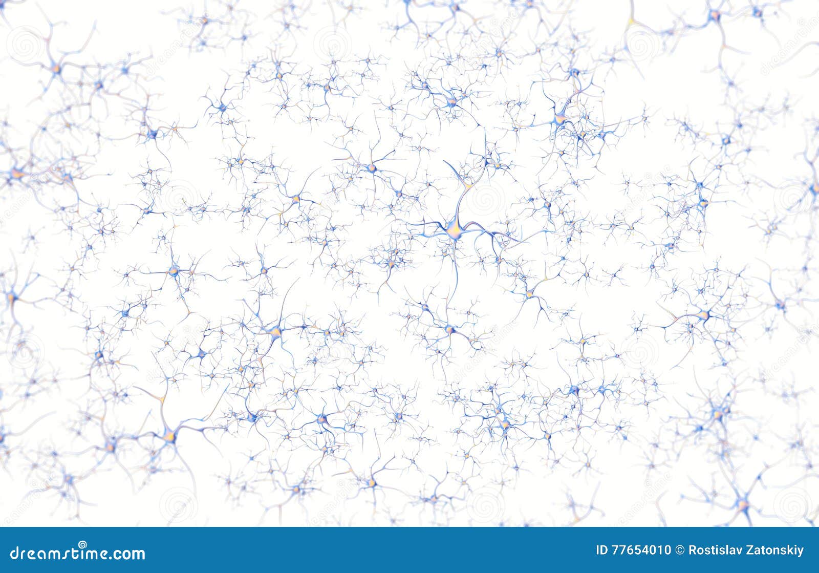 Neurons in the Brain on White Background with Focus Effect. 3d ... Neurons in the Brain on White Background with Focus Effect. 3d ...
