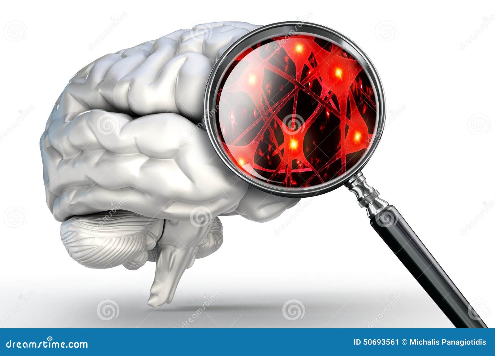 Neurons Close Up On Magnifying Glass And Human Brain Stock Illustration ...