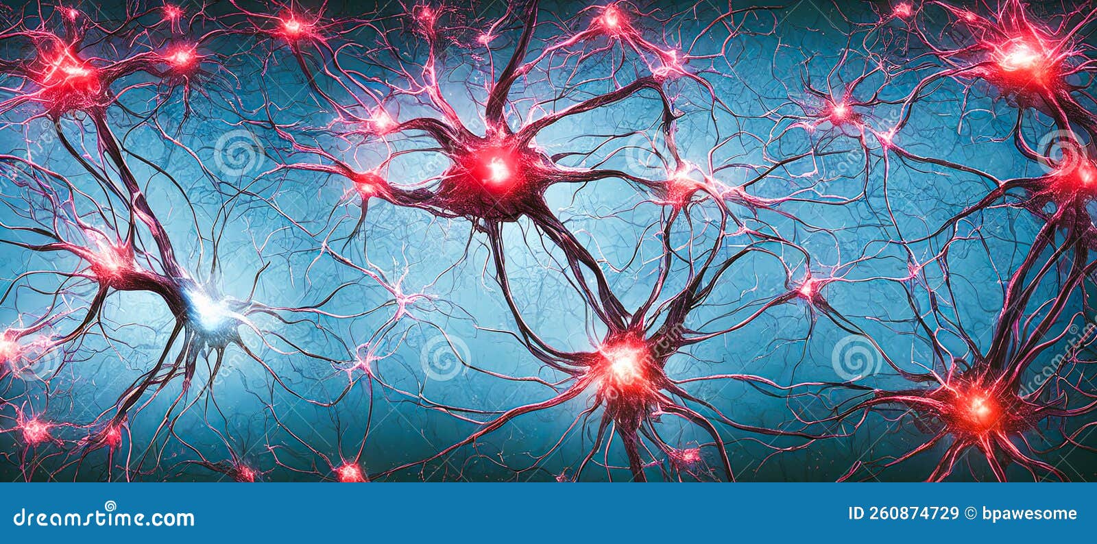 Neurons Communicate with Each Other Using Electrochemical Signals, 3d ...