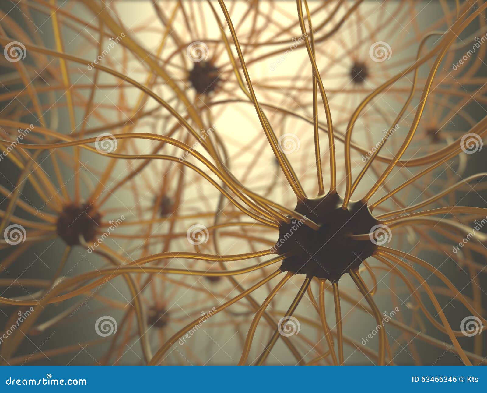 Neurons Concept stock photo. Image of power, cognition - 63466346