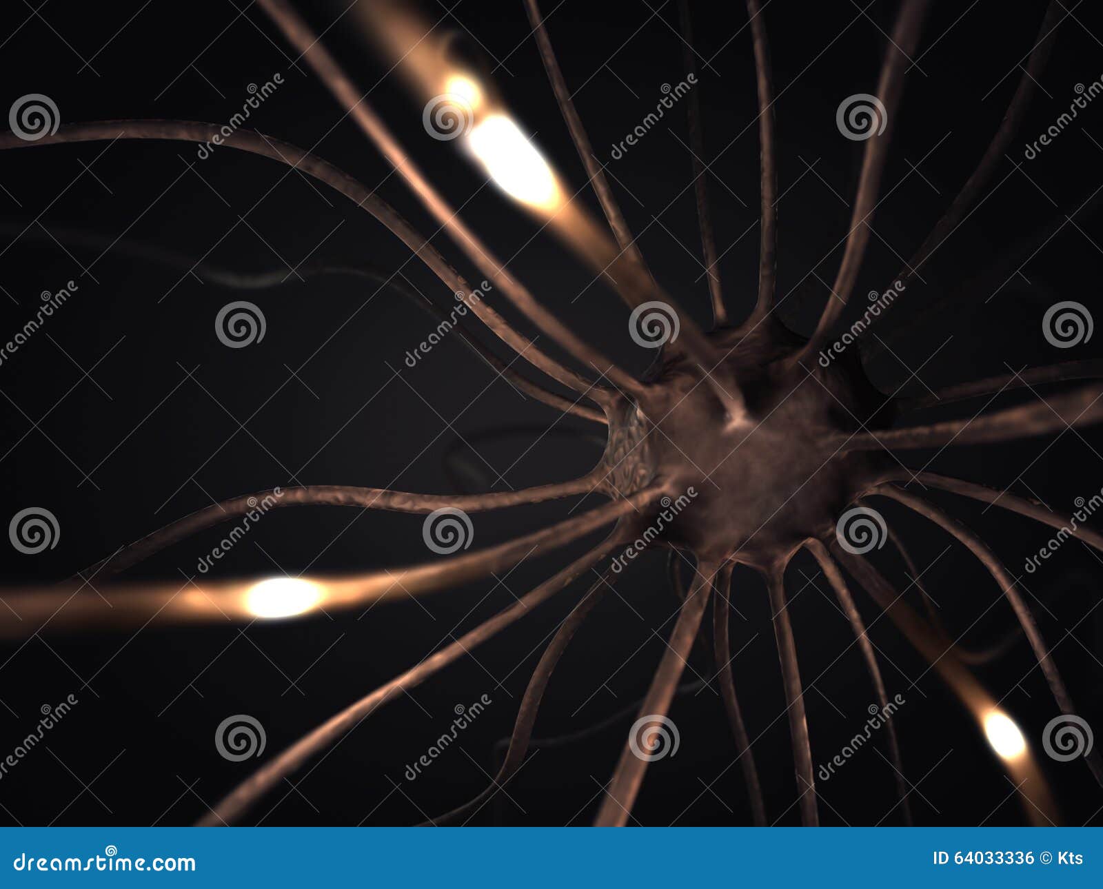 Neurons Concept stock photo. Image of brain, biological - 64033336