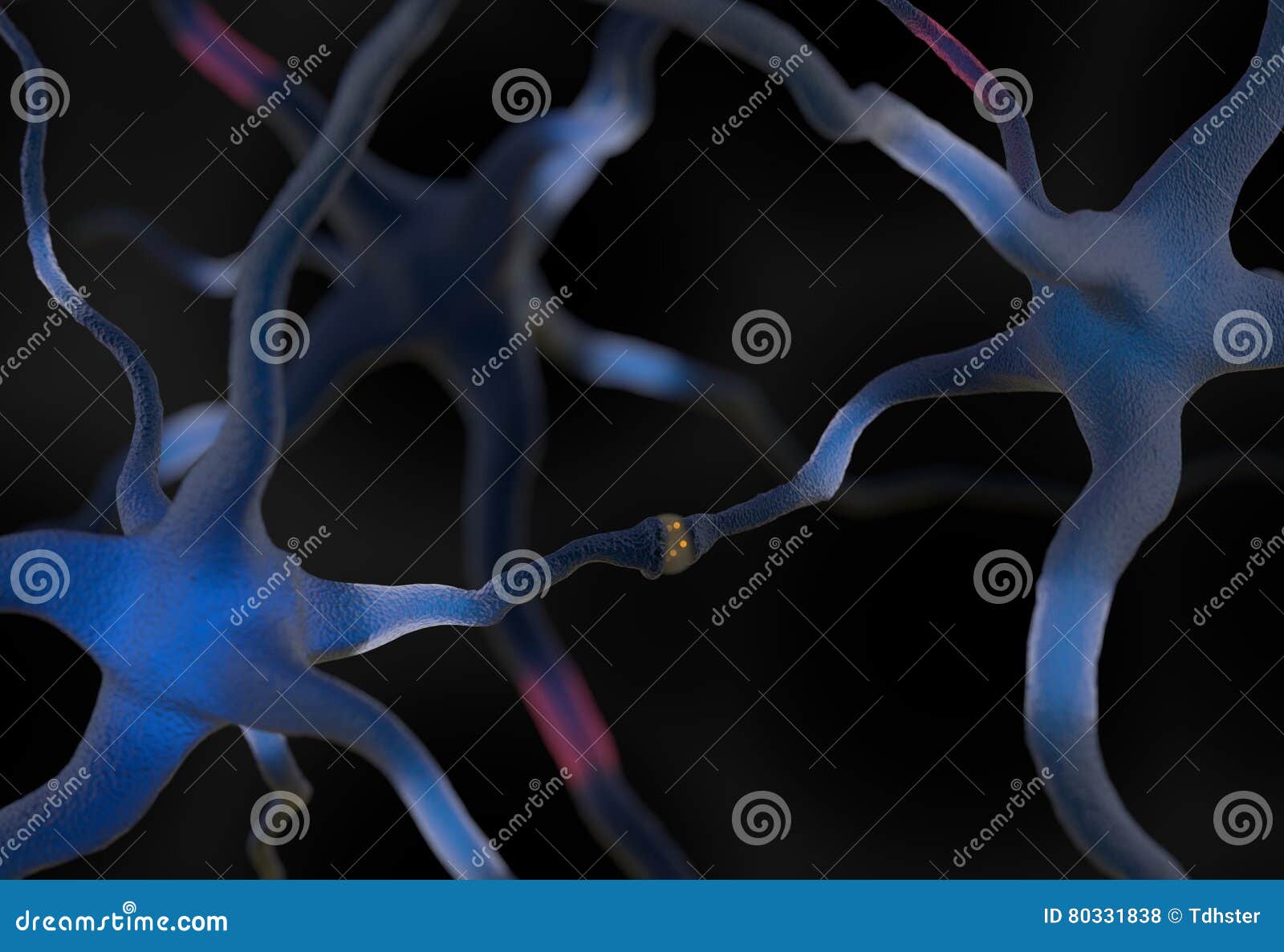 Neurons Connected in Brain 3d Illustration Stock Illustration ...