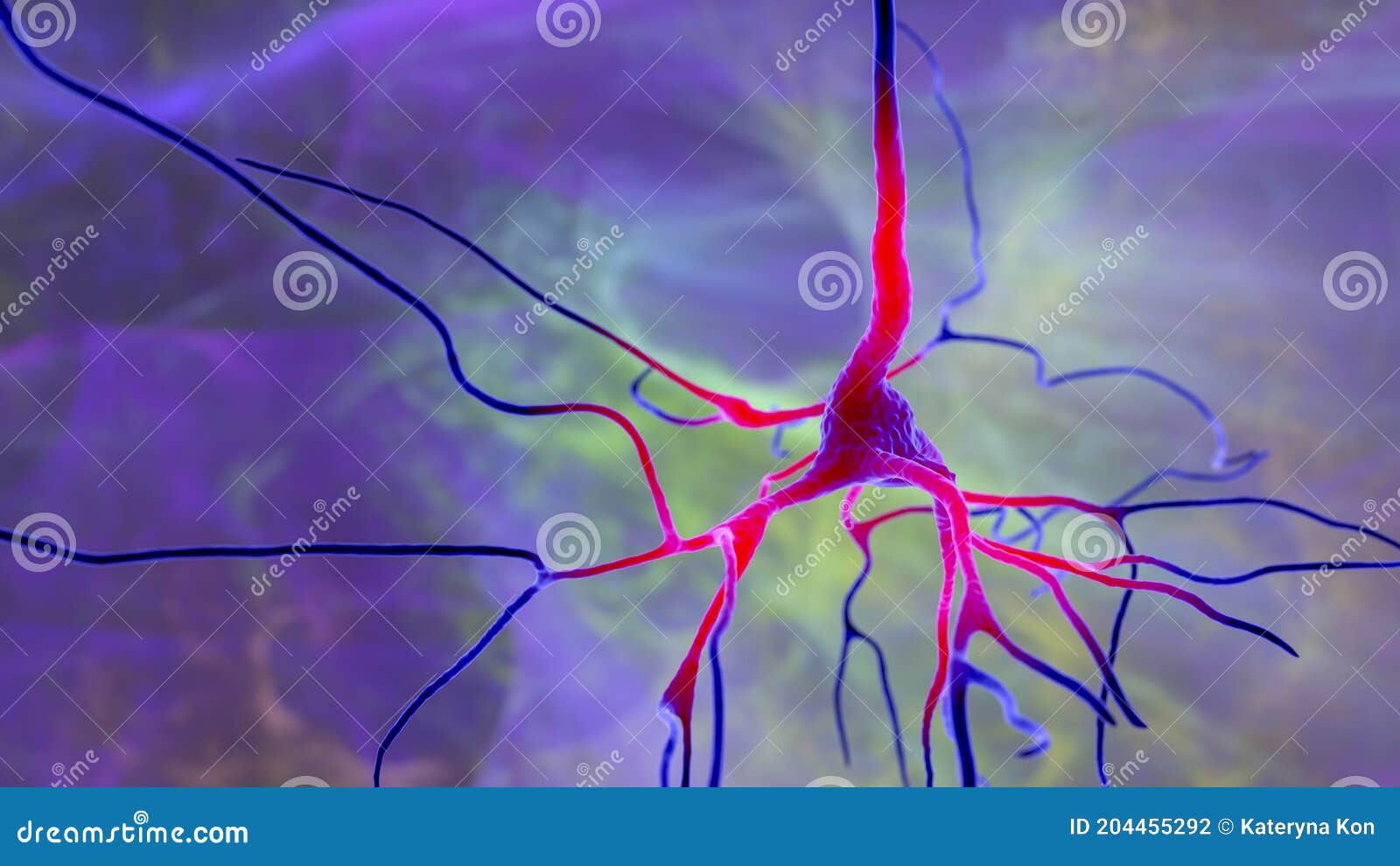 Neurons, Brain Cells, Located In The Frontal Lobe Of The Human Brain ...