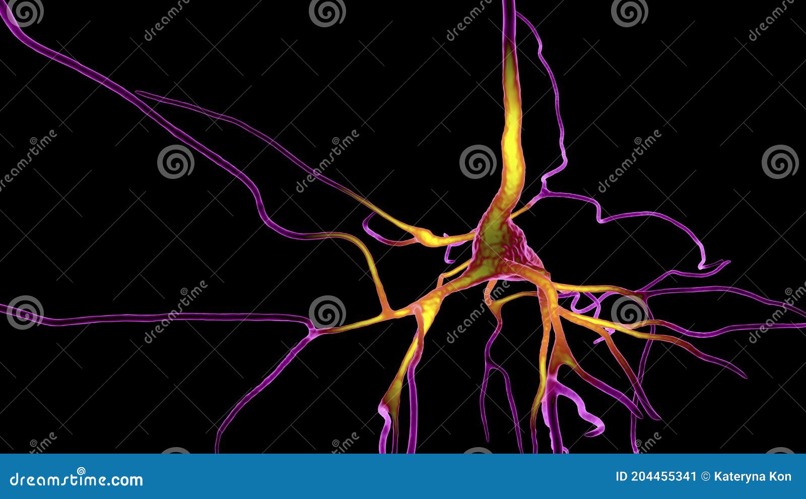 Neurons, Brain Cells, Located in the Frontal Lobe of the Human Brain ...
