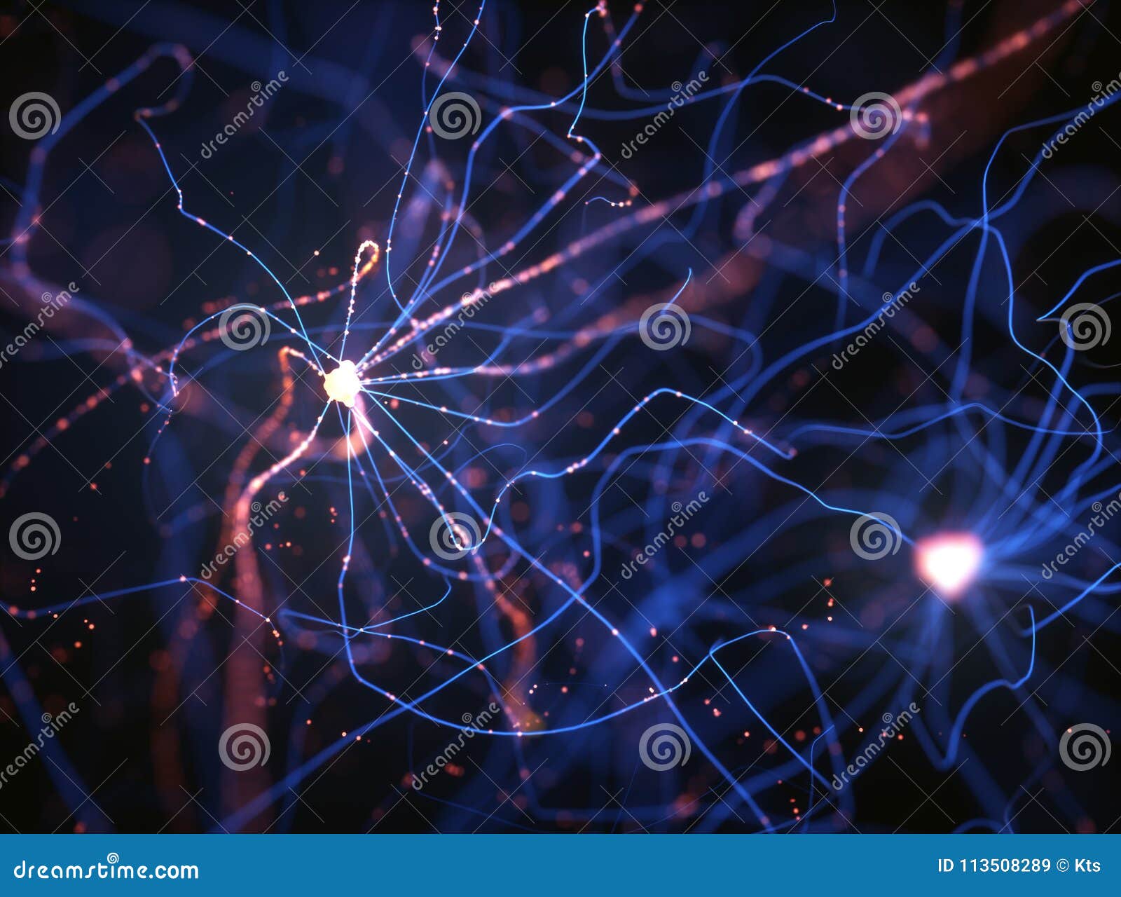 Neurons Electrical Pulses stock image. Image of nerve - 113508289