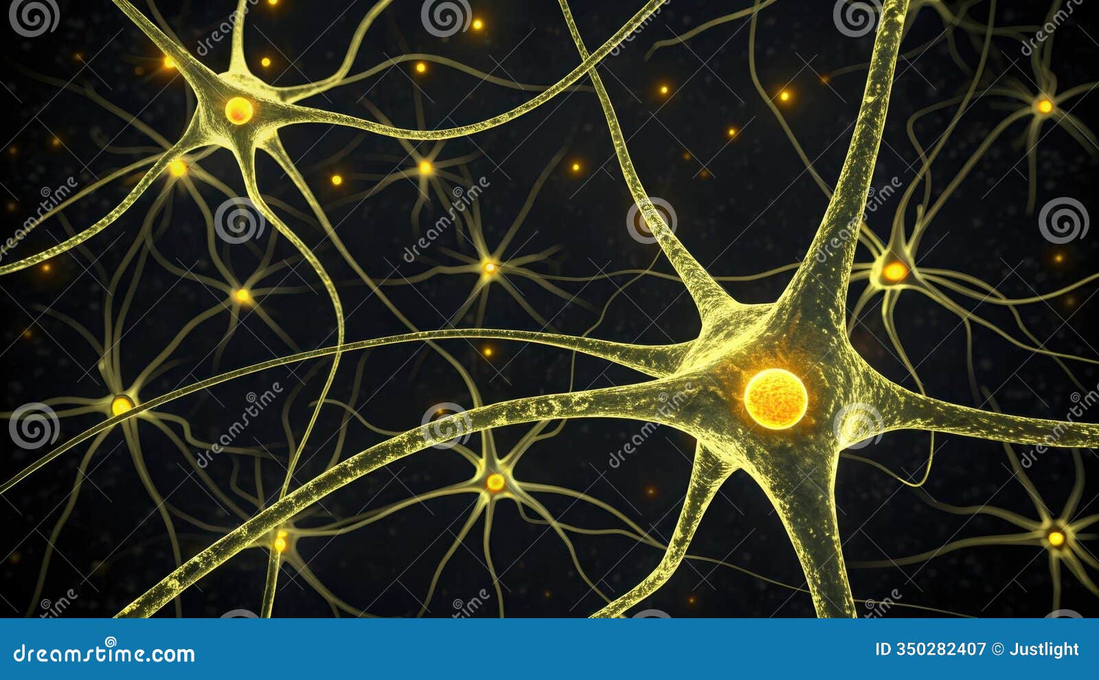 Neurons Exchanging Signals in the Nervous System Forming a Neural ...