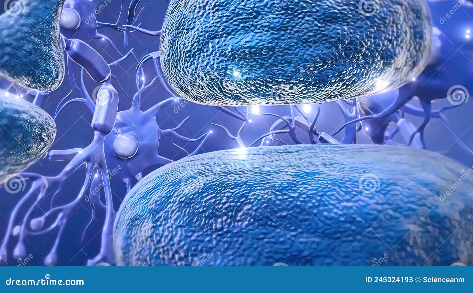 Neurons are the Fundamental Units of the Brain and Nervous System Stock ...