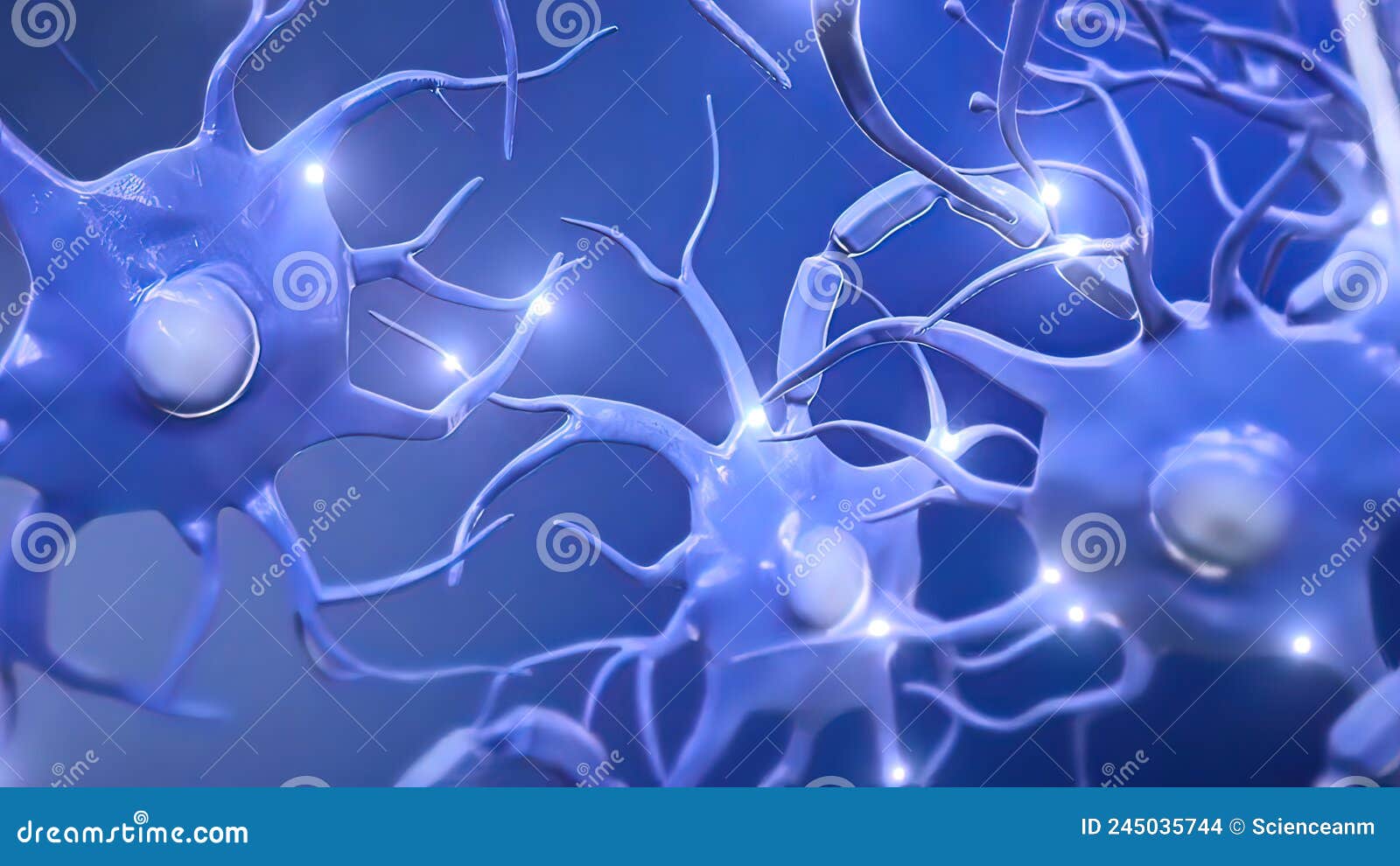 Neurons are the Fundamental Units of the Brain and Nervous System Stock ...