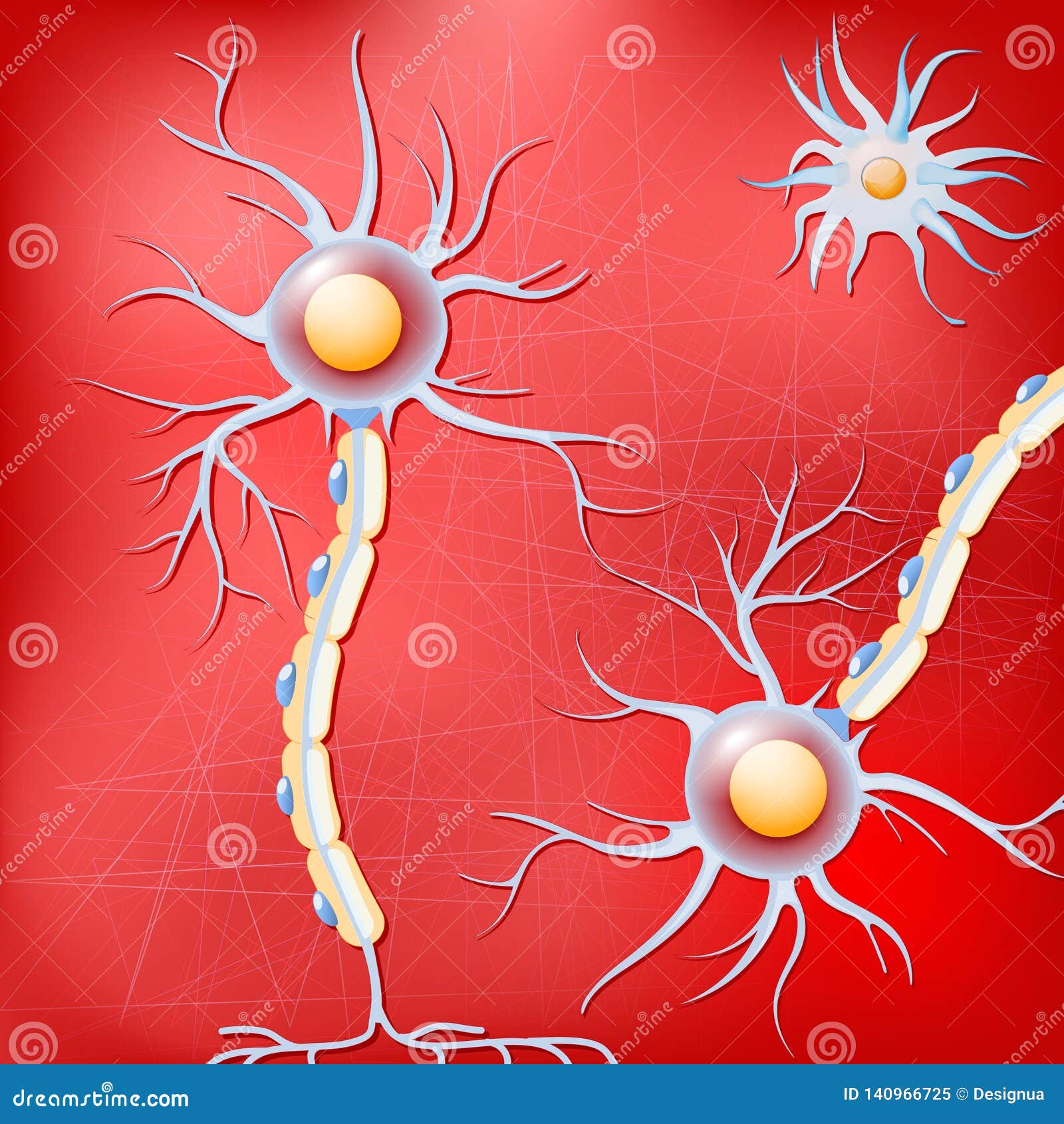Neurons and Glial Cells in the Brain on Red Background Stock Vector ... Neurons and Glial Cells in the Brain on Red Background Stock Vector ...