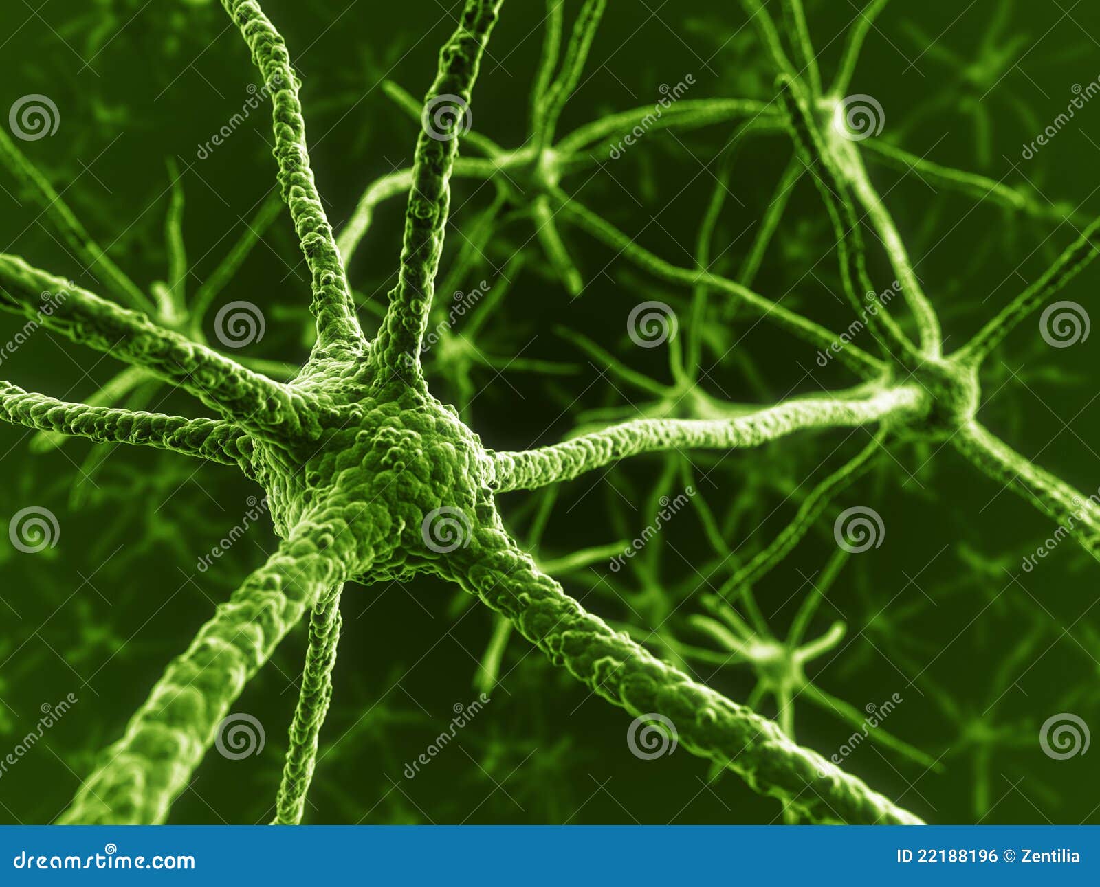 Neurons in green stock illustration. Illustration of biology - 22188196