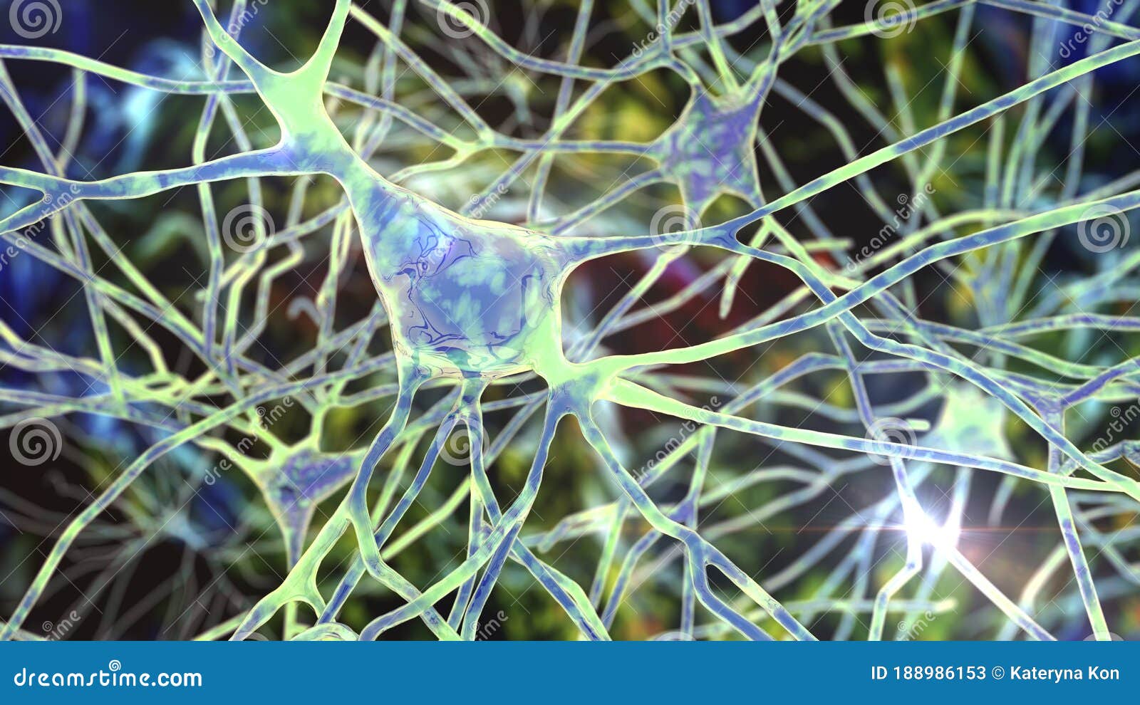 Neurons, Human Brain Cells, 3D Illustration. Human Nervous System ...