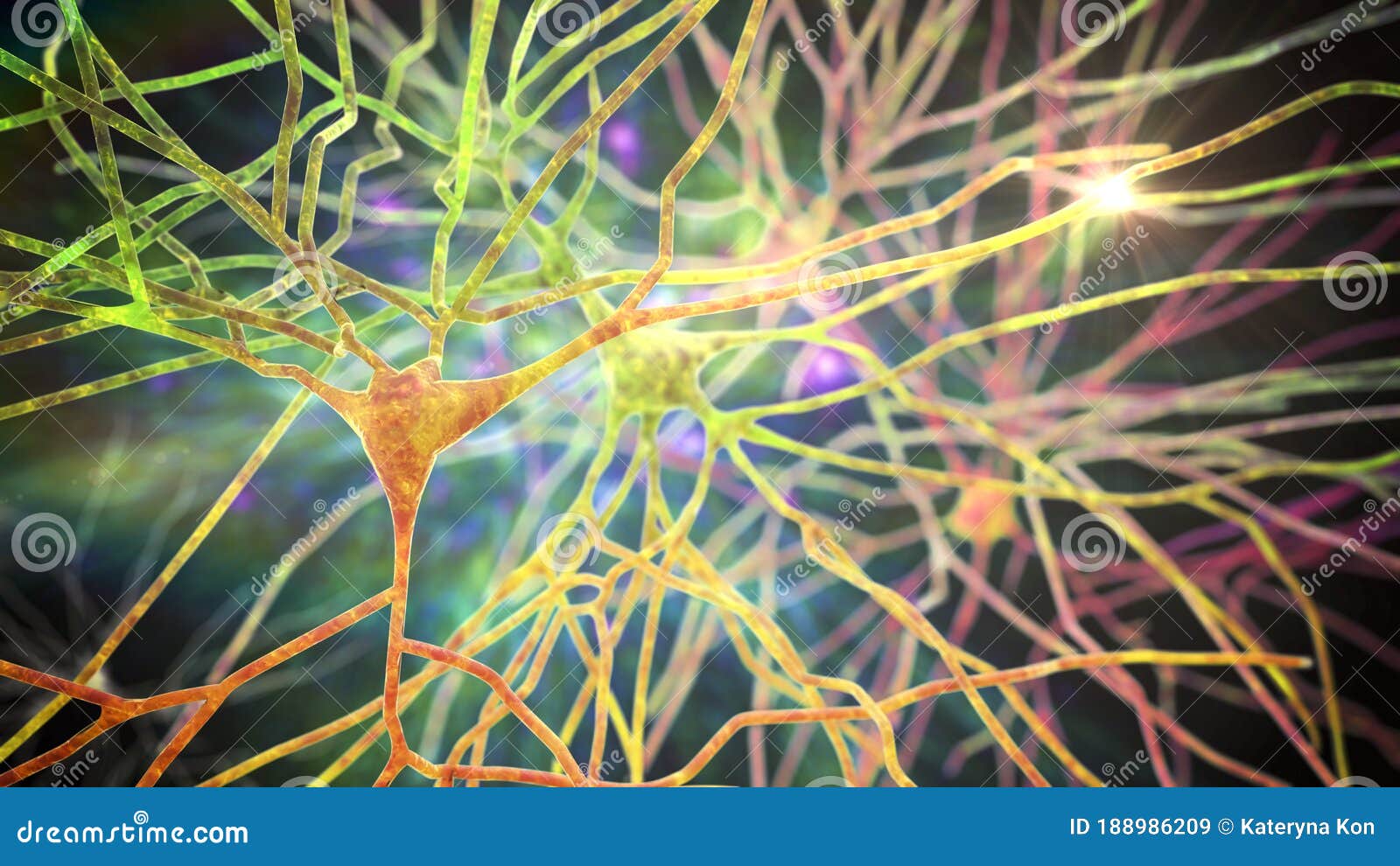 Neurons, Human Brain Cells, 3D Illustration. Human Nervous System ...
