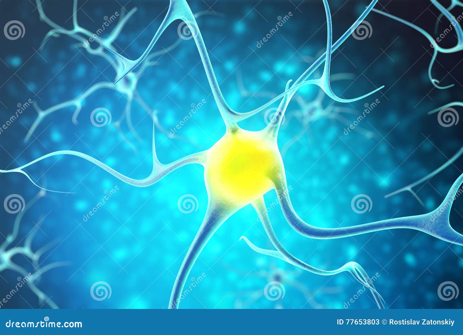 Neurons in the Human Nervous System with the Effect of Depth Field. 3d ...