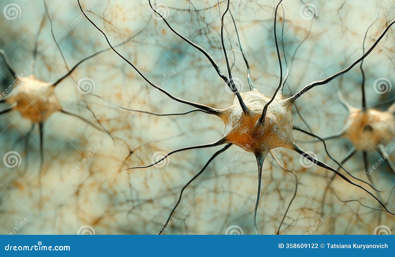 Neurons with Intricate Dendritic Structures Showcasing Synaptic ...