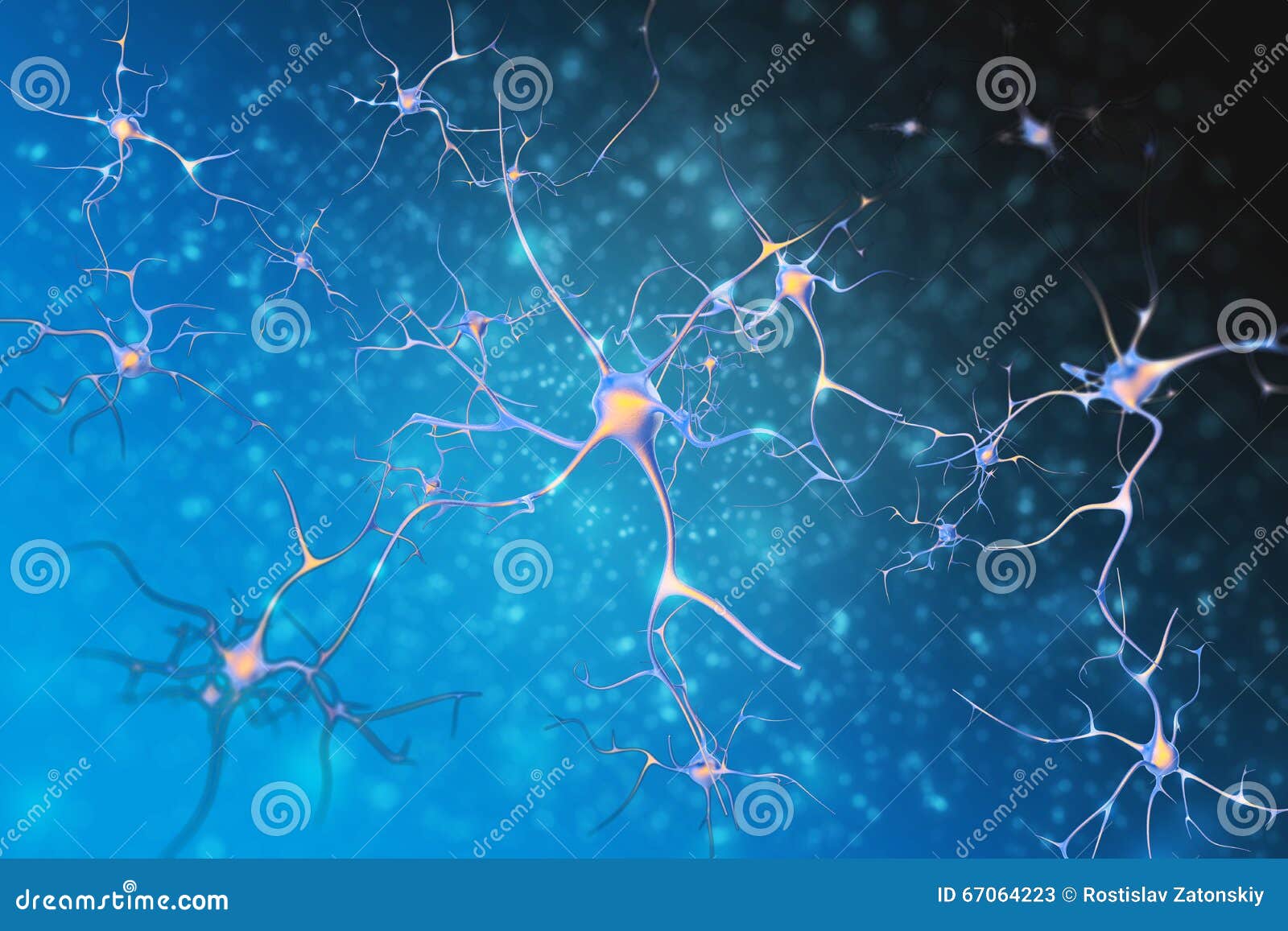 Neurons of the Nervous System Cells. Stock Illustration - Illustration ...