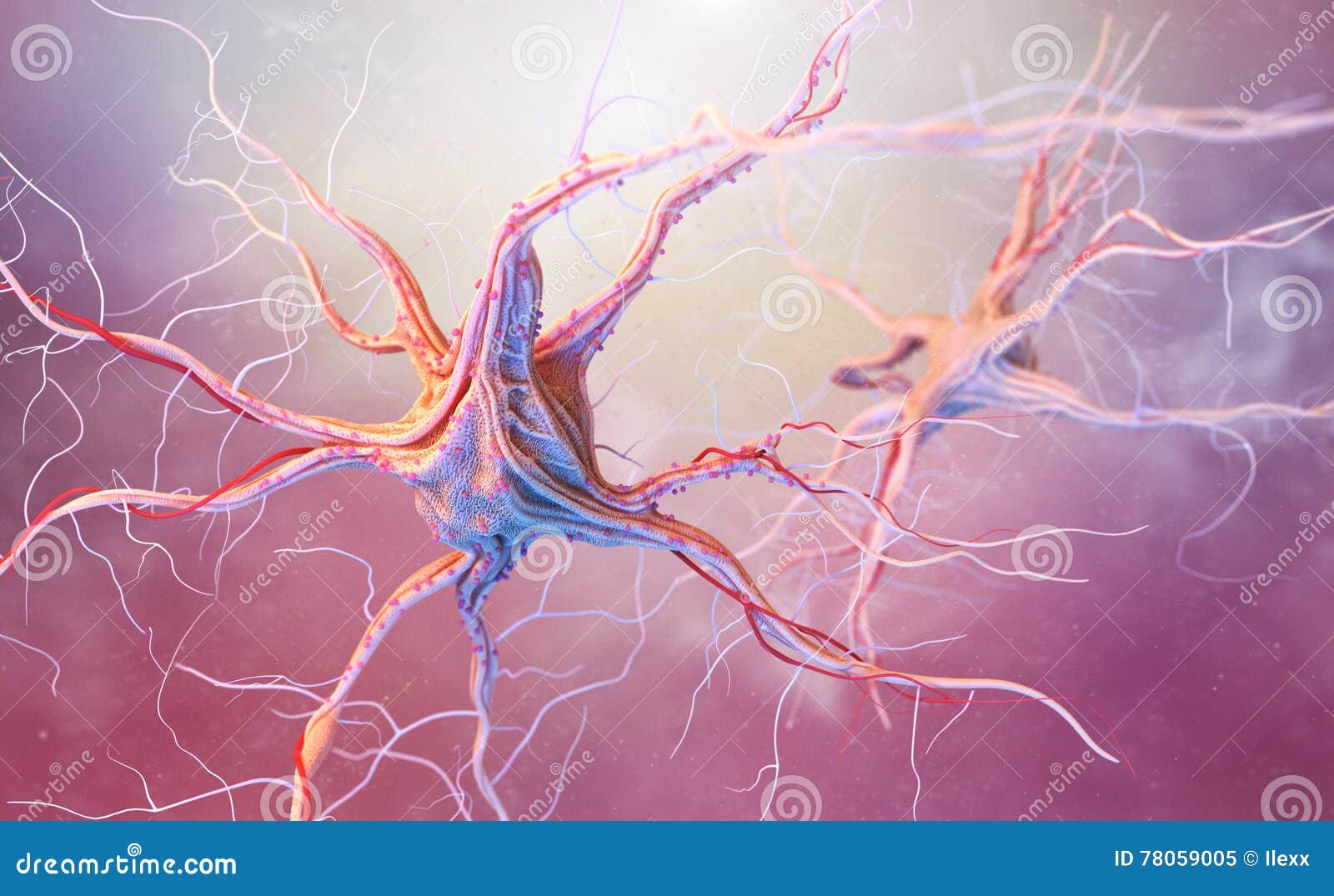 Neurons and nervous system stock illustration. Illustration of ...