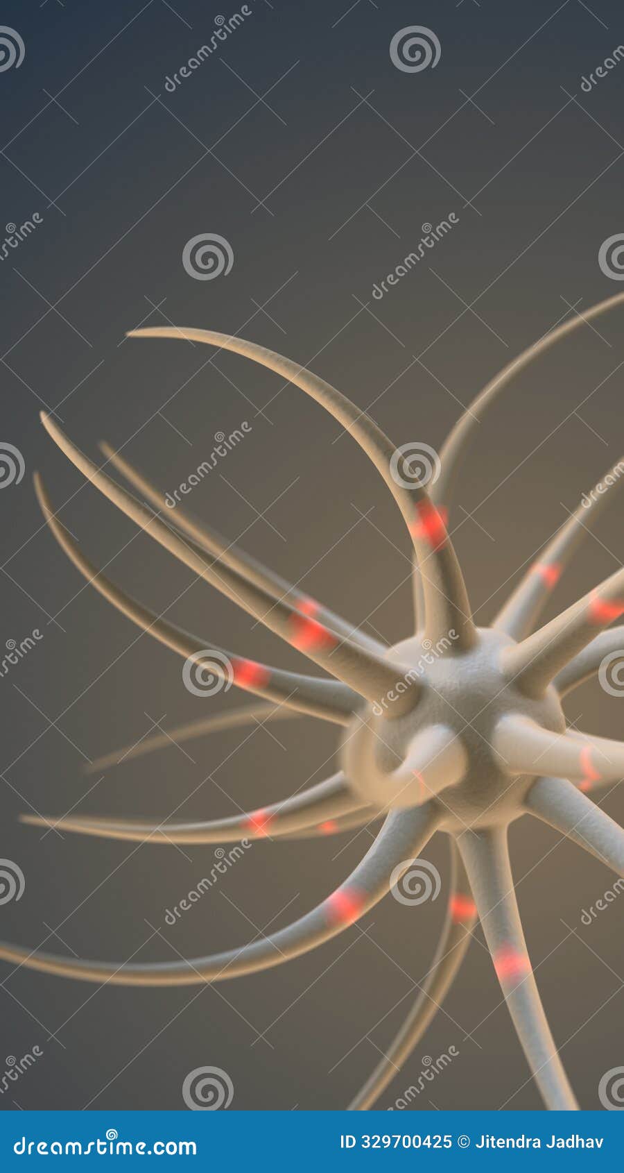 Synaptic Transmission In The Human Nervous System Visualization Royalty-Free Stock Photography ...
