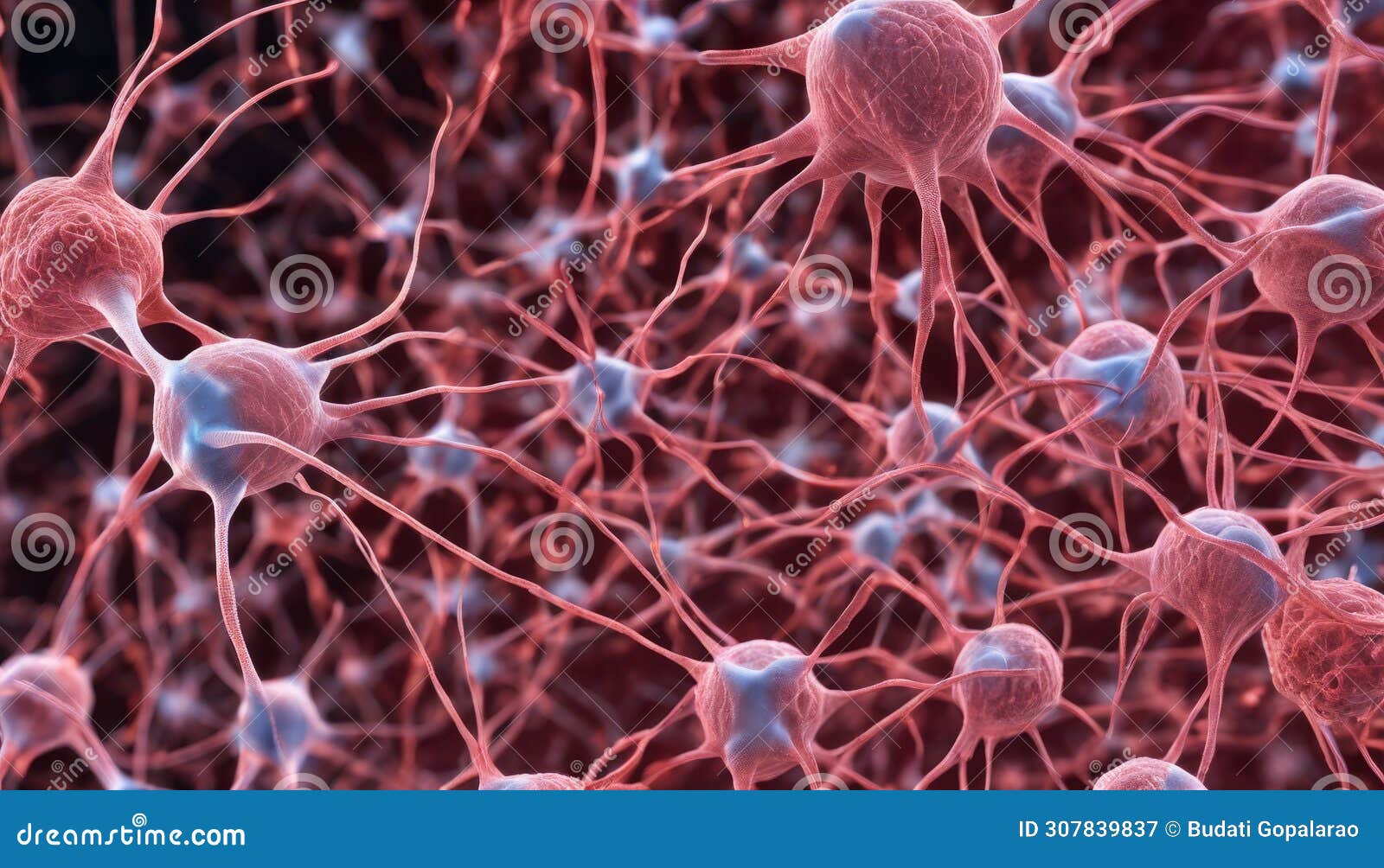 Neurons in a Network, a Complex and Intricate Structure Stock ... Neurons in a Network, a Complex and Intricate Structure Stock ...