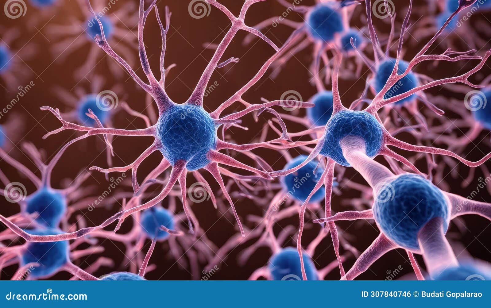 Neurons in a Network, a Complex Symphony of Synapses Stock Illustration ... Neurons in a Network, a Complex Symphony of Synapses Stock Illustration ...
