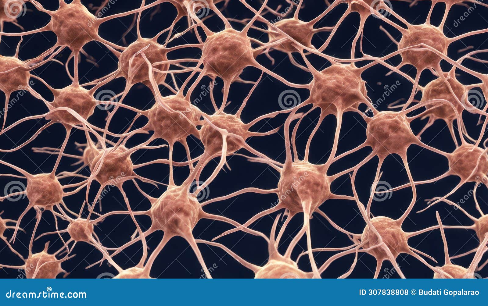 Neurons in a Network, a Complex Web of Connections Stock Illustration ...
