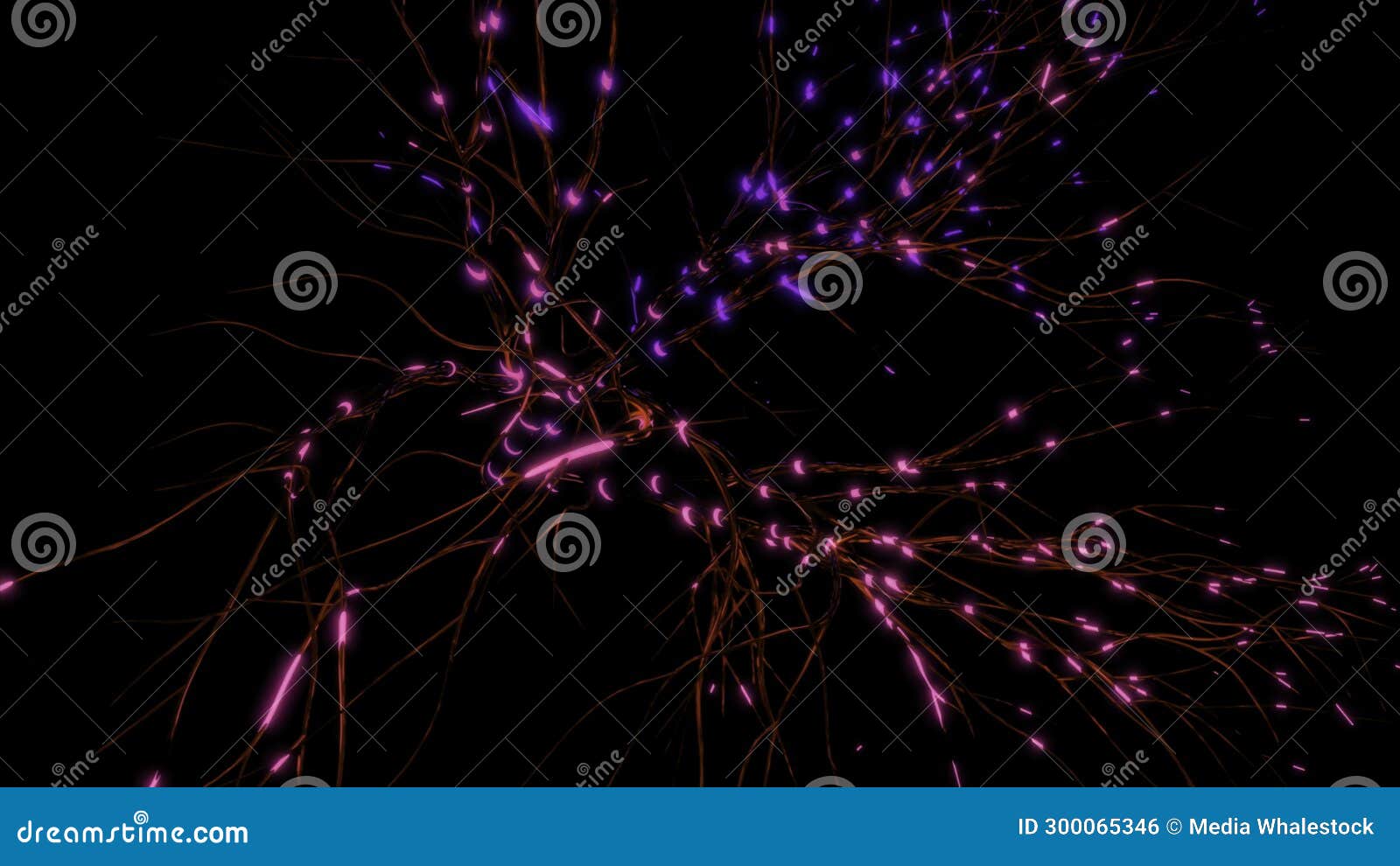 Brain Neurogenesis Hippocampus Prefrontal Cortex Intelligence Gray Matter Neural Pathways In