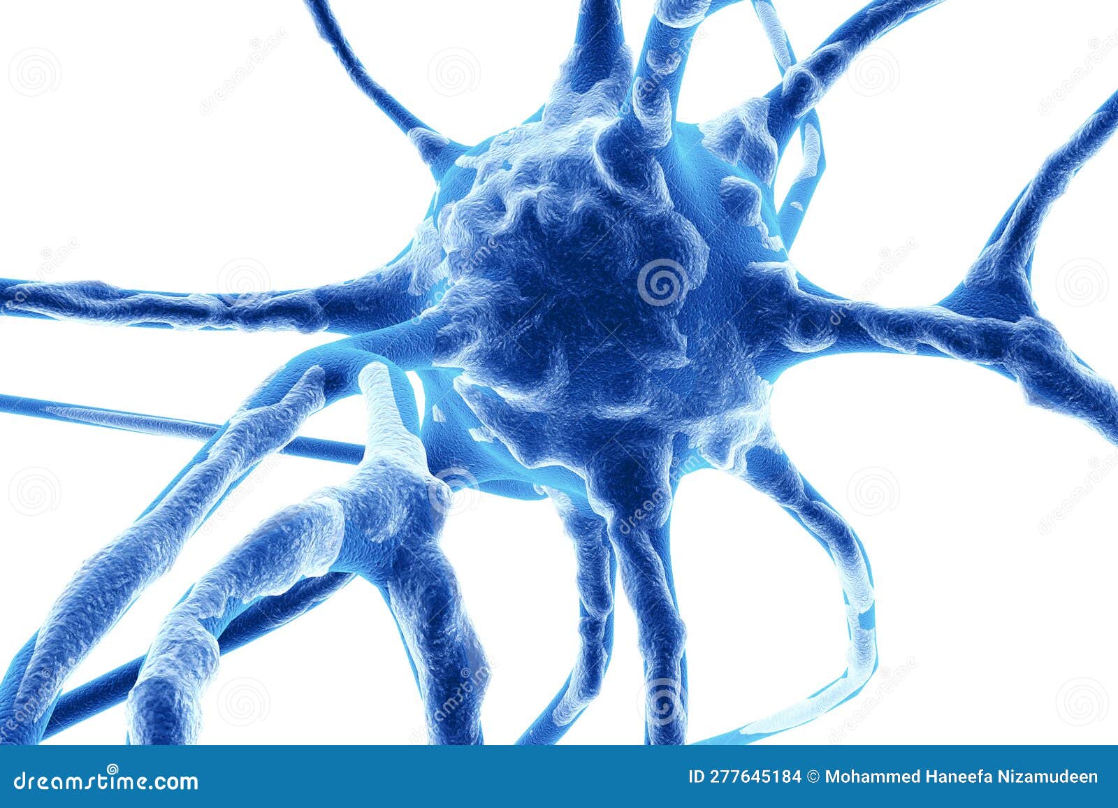 Neurons stock illustration. Illustration of neural, neurology - 277645184