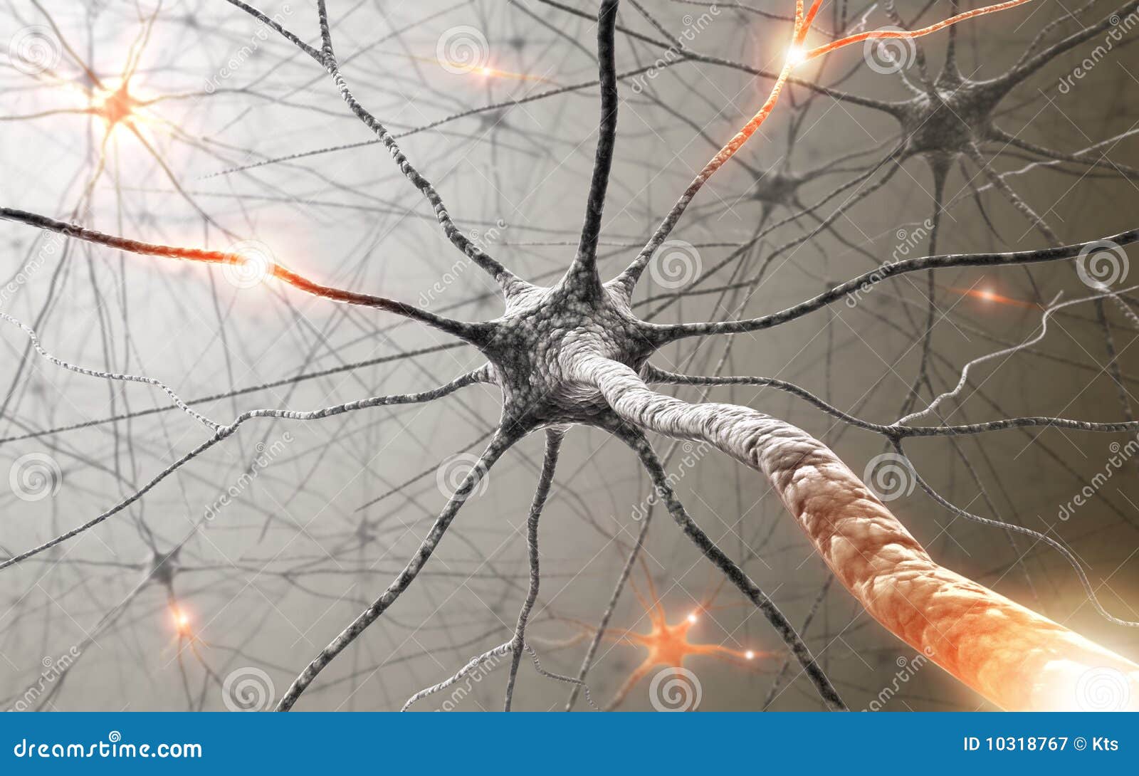 Neurons the Power of the Mind Stock Image - Image of encephalon ...