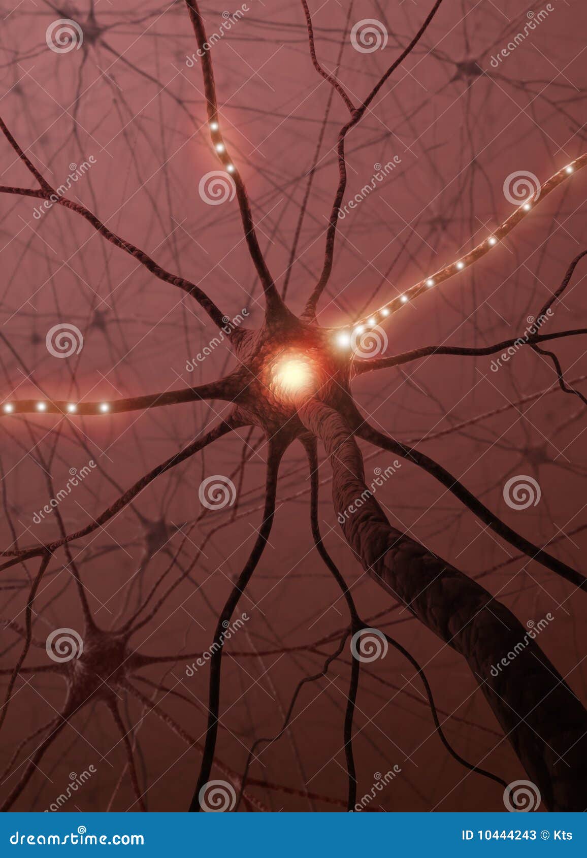 Neurons the Power of the Mind Stock Image - Image of energy, biology ...