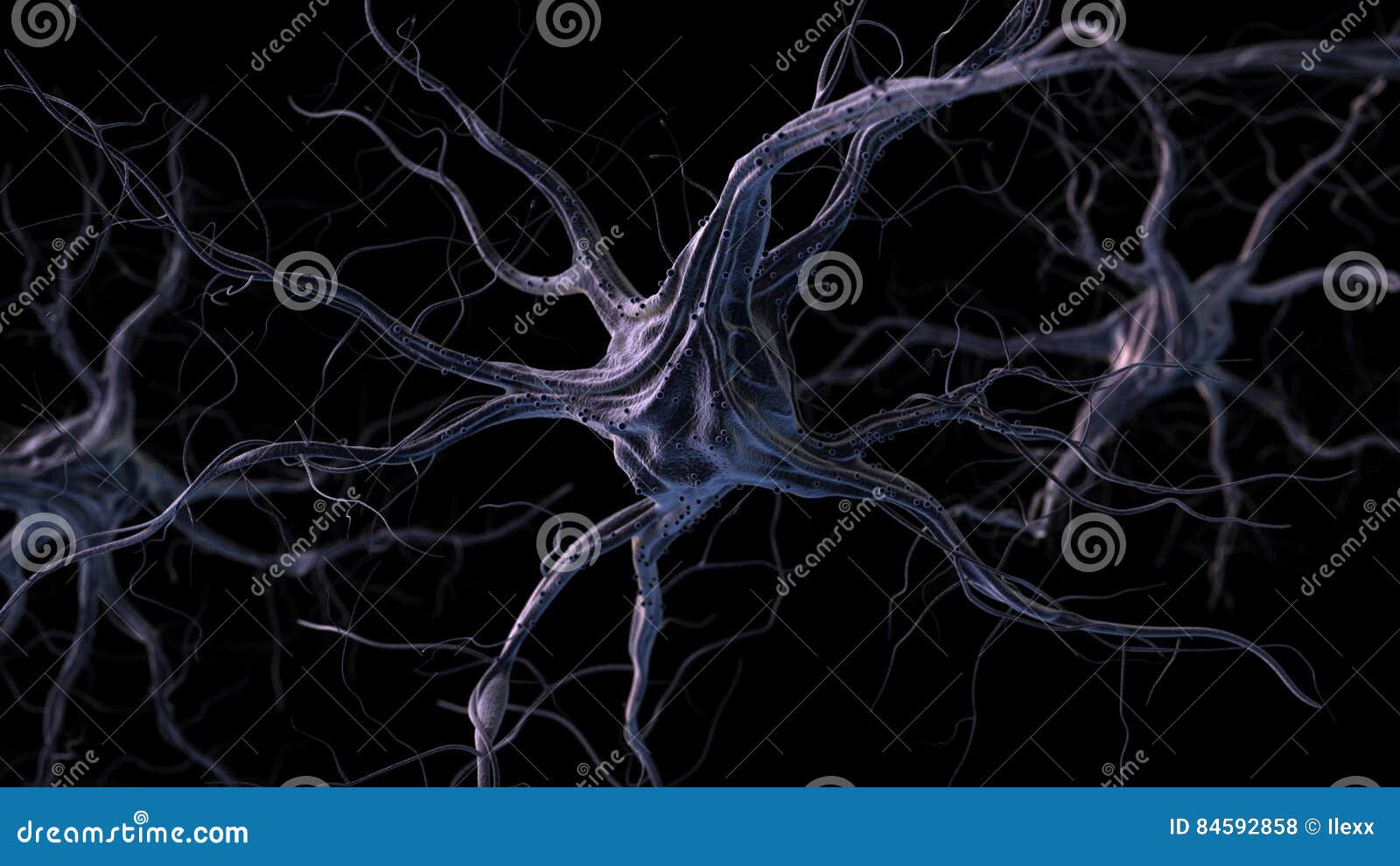 Neuron 3d Animation