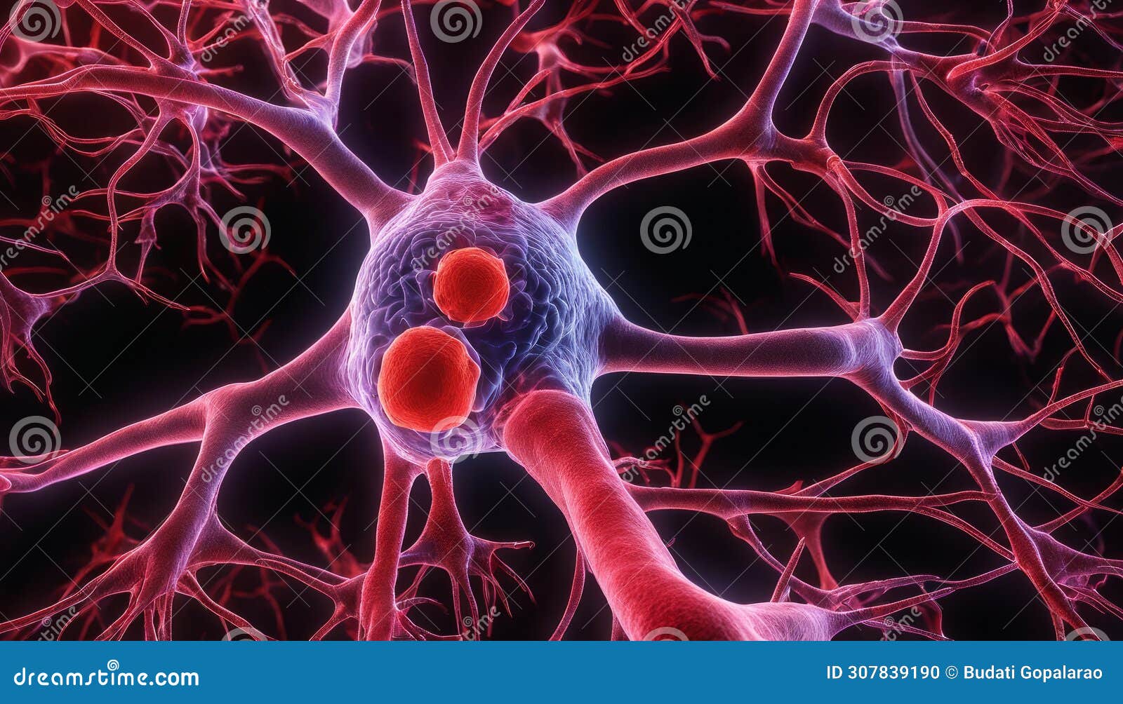 Neurons with Red-labeled Synapses, a Key Component of Neural ...