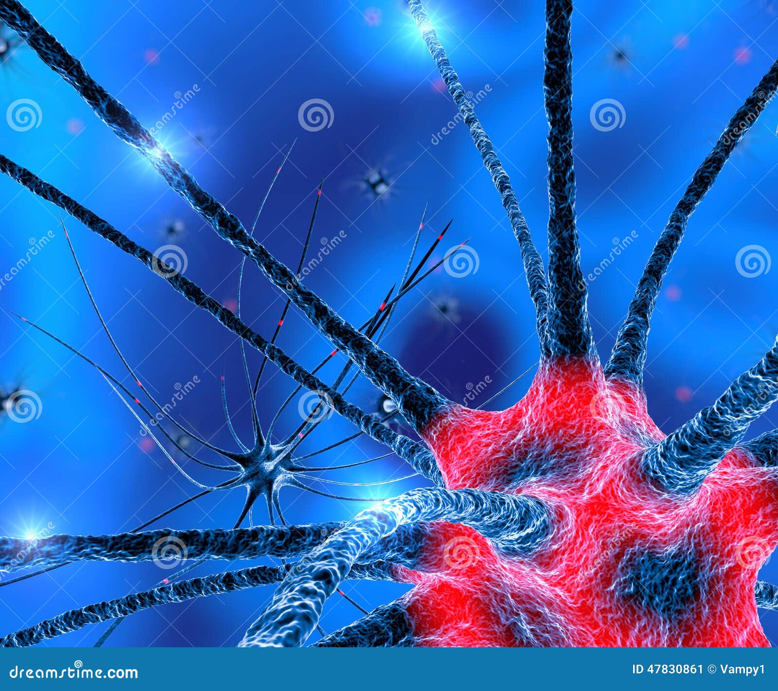Neurons Synapse Brain Functions Stock Illustration - Illustration of ... Neurons Synapse Brain Functions Stock Illustration - Illustration of ...