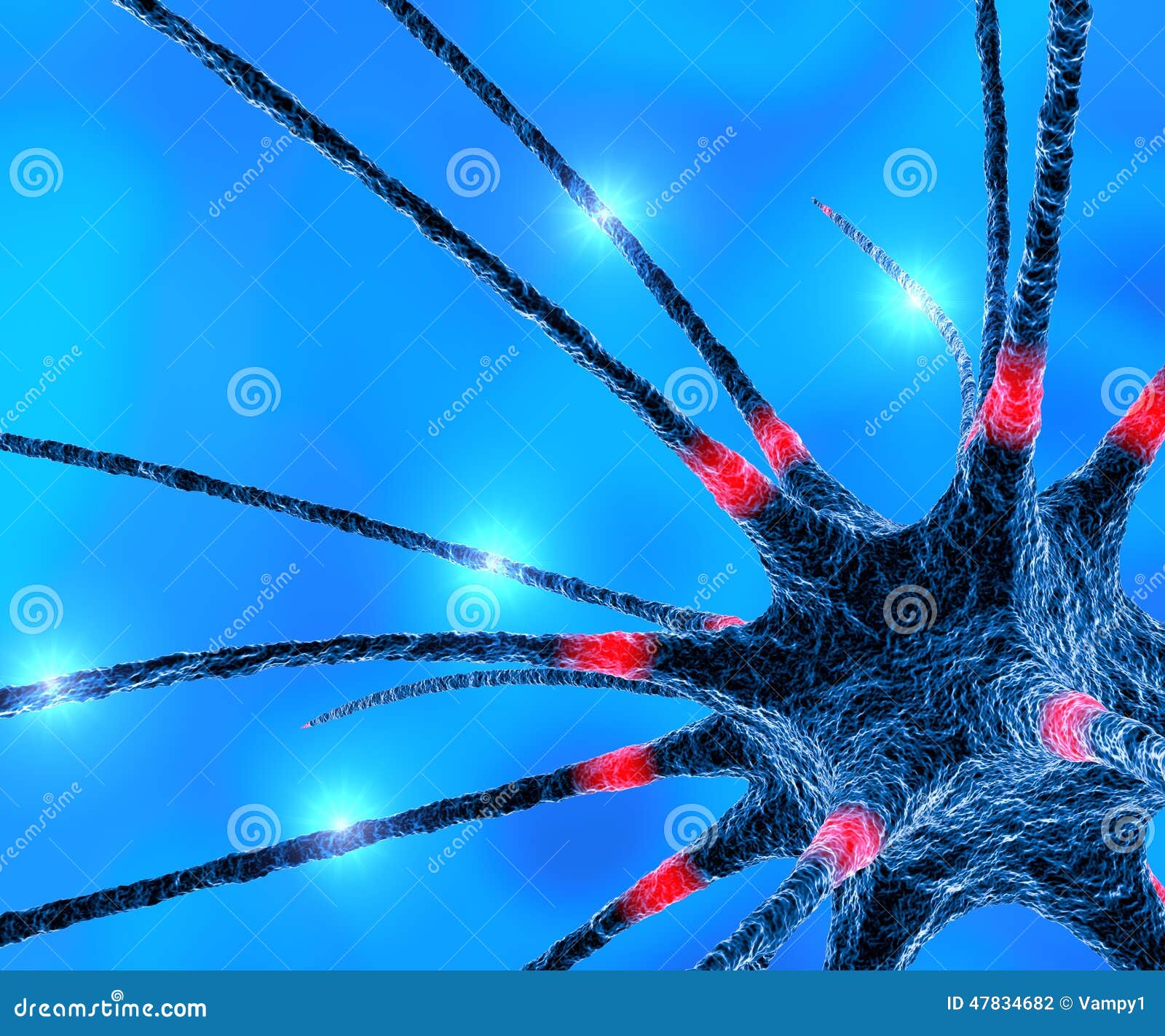 Neurons Synapse Brain Functions Stock Illustration - Illustration of ...