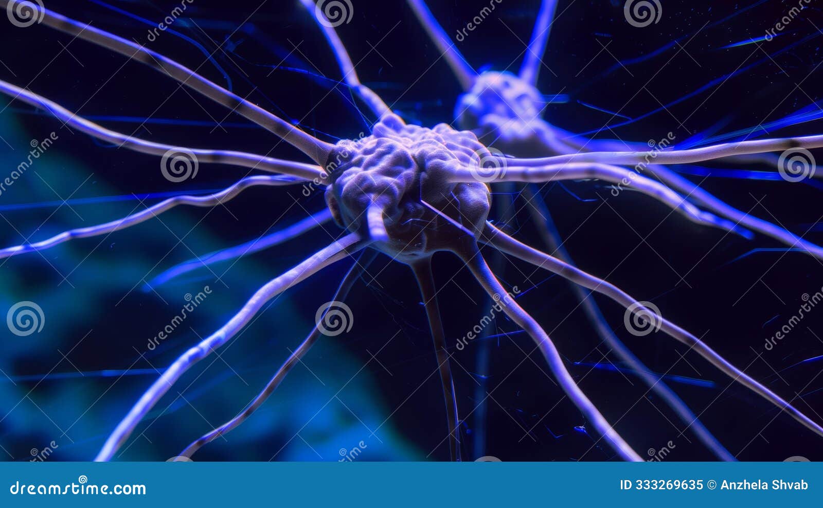 Neurons Vital Cells of the Brain S Nervous System Essential for Optimal ...
