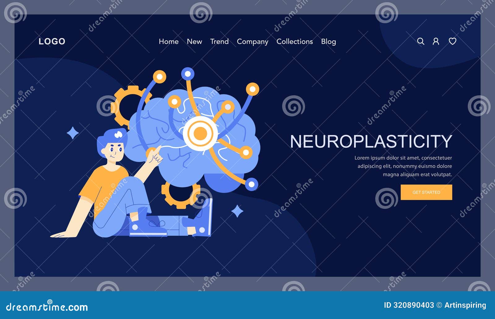Neuroplasticity Concept. Transformation, Change Of Neural Connections ...