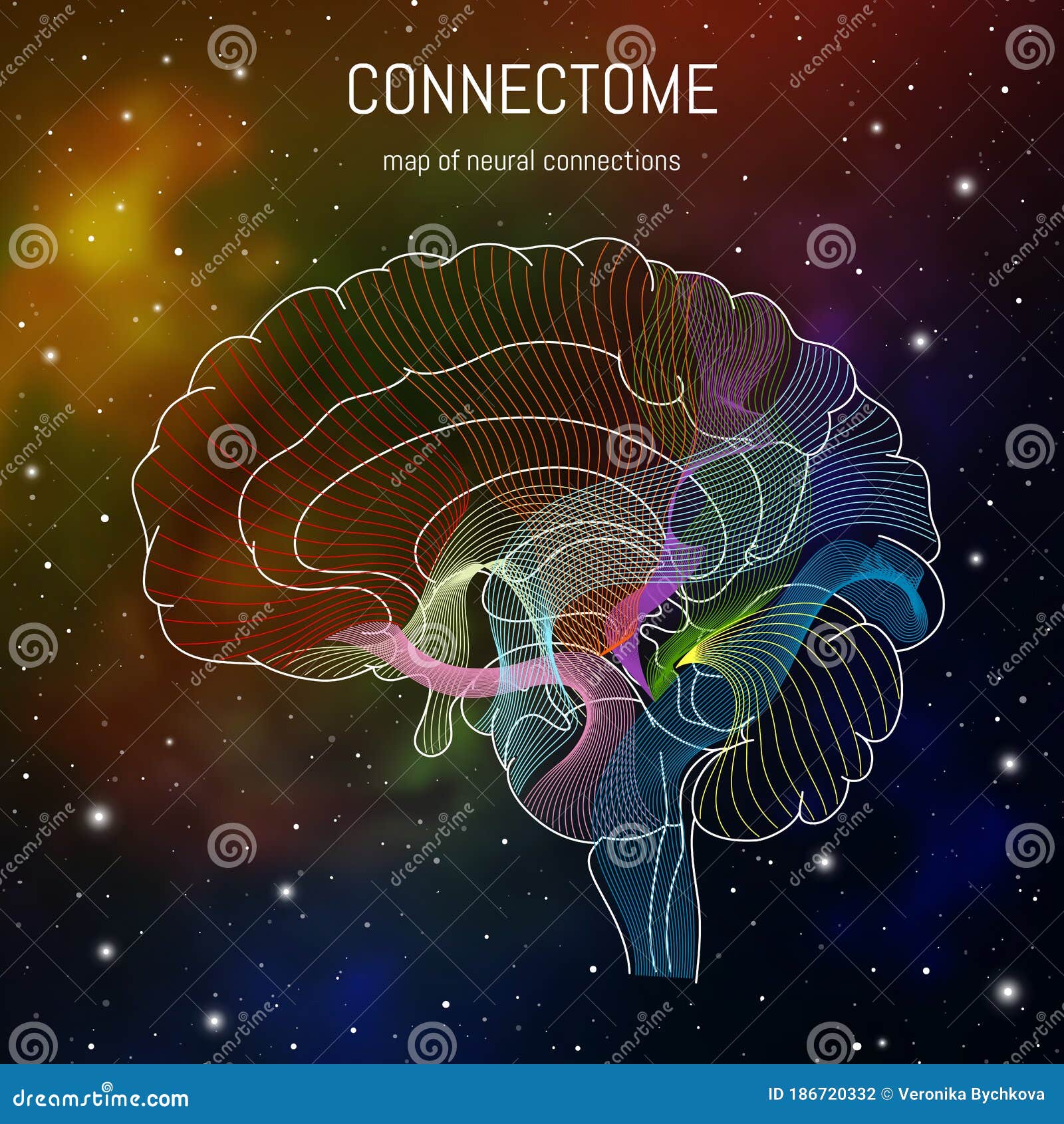 Neuroscience Infographic On Space Background. Brain Cells Connectome ... Neuroscience Infographic On Space Background. Brain Cells Connectome ...