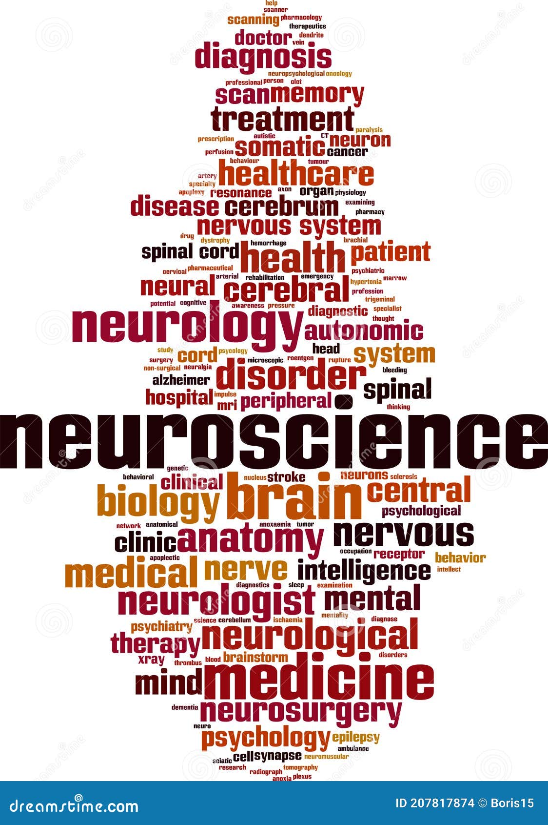 Somatic Vs Autonomic Nervous System In Detailed Division Outline ... Somatic Vs Autonomic Nervous System In Detailed Division Outline ...
