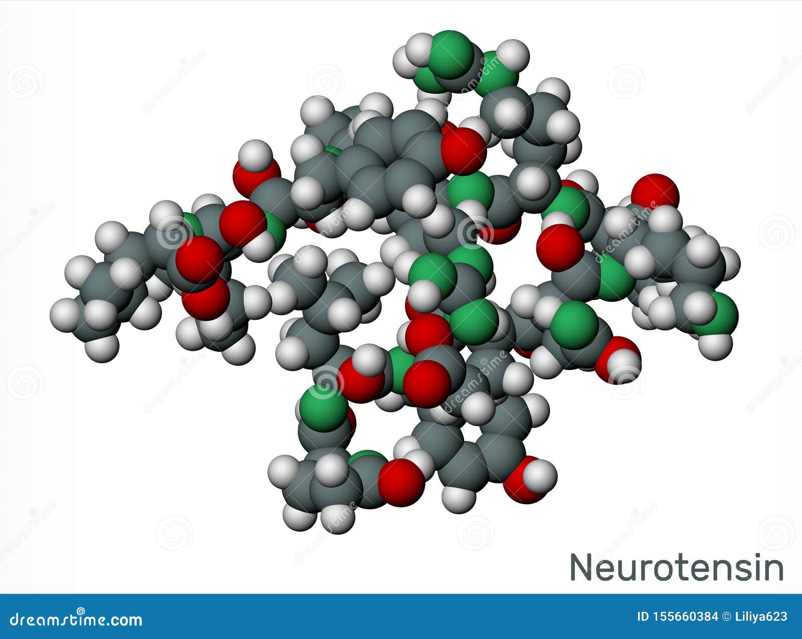 Neuropeptide Y Molecule, Chemical Structure Stock Photo | CartoonDealer.com #188441922